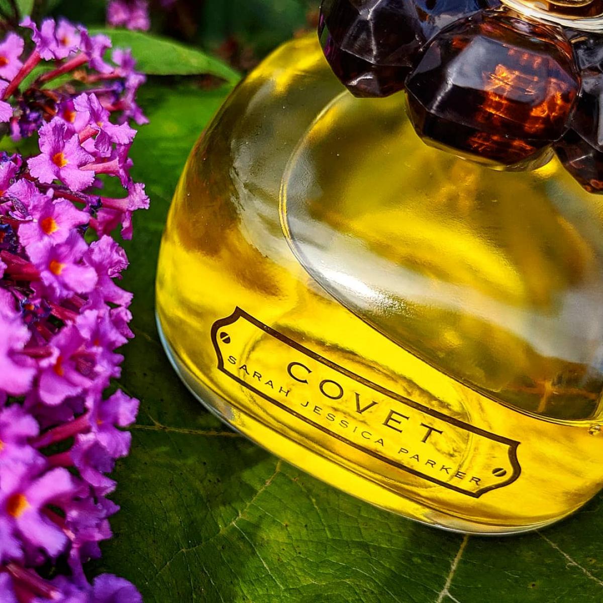 Covet Sarah Jessica Parker perfume - a fragrance for women 2007