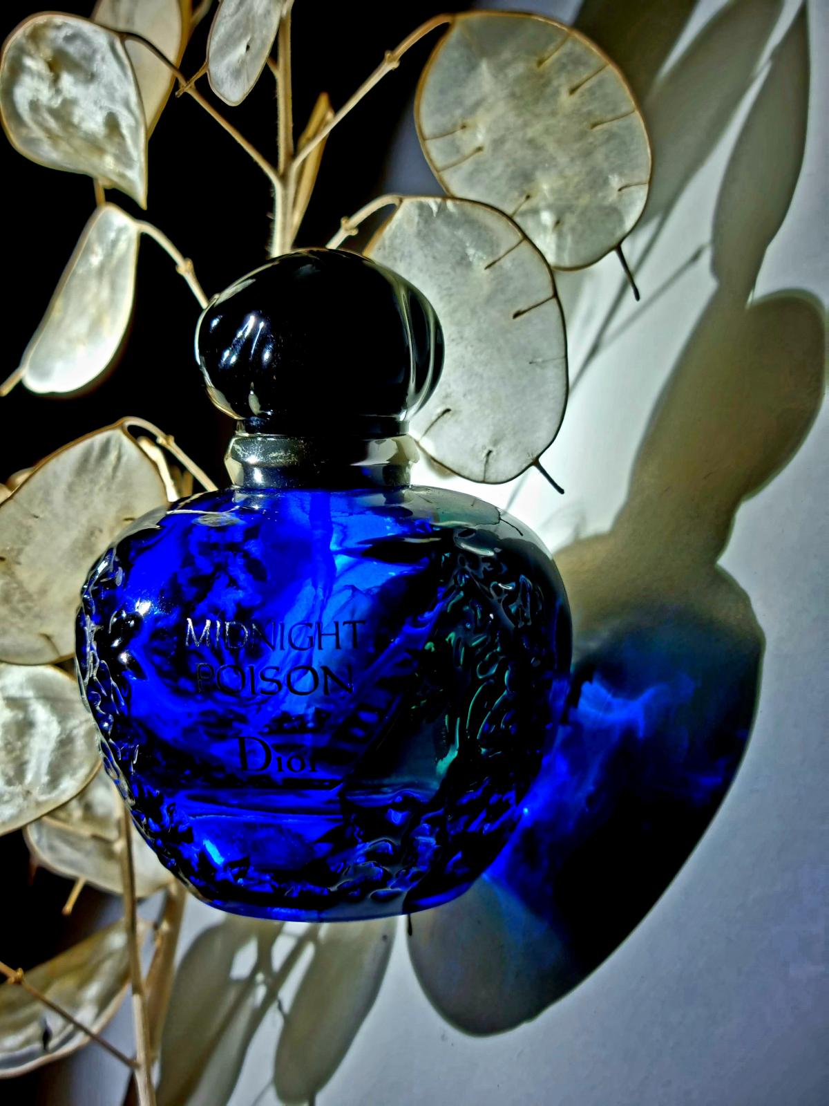 Midnight Poison Dior perfume - a fragrance for women 2007