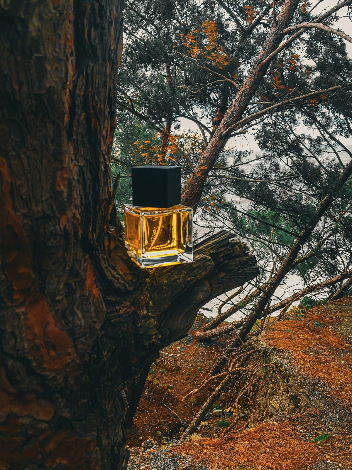 M7 Yves Saint Laurent cologne - a fragrance for men 2002