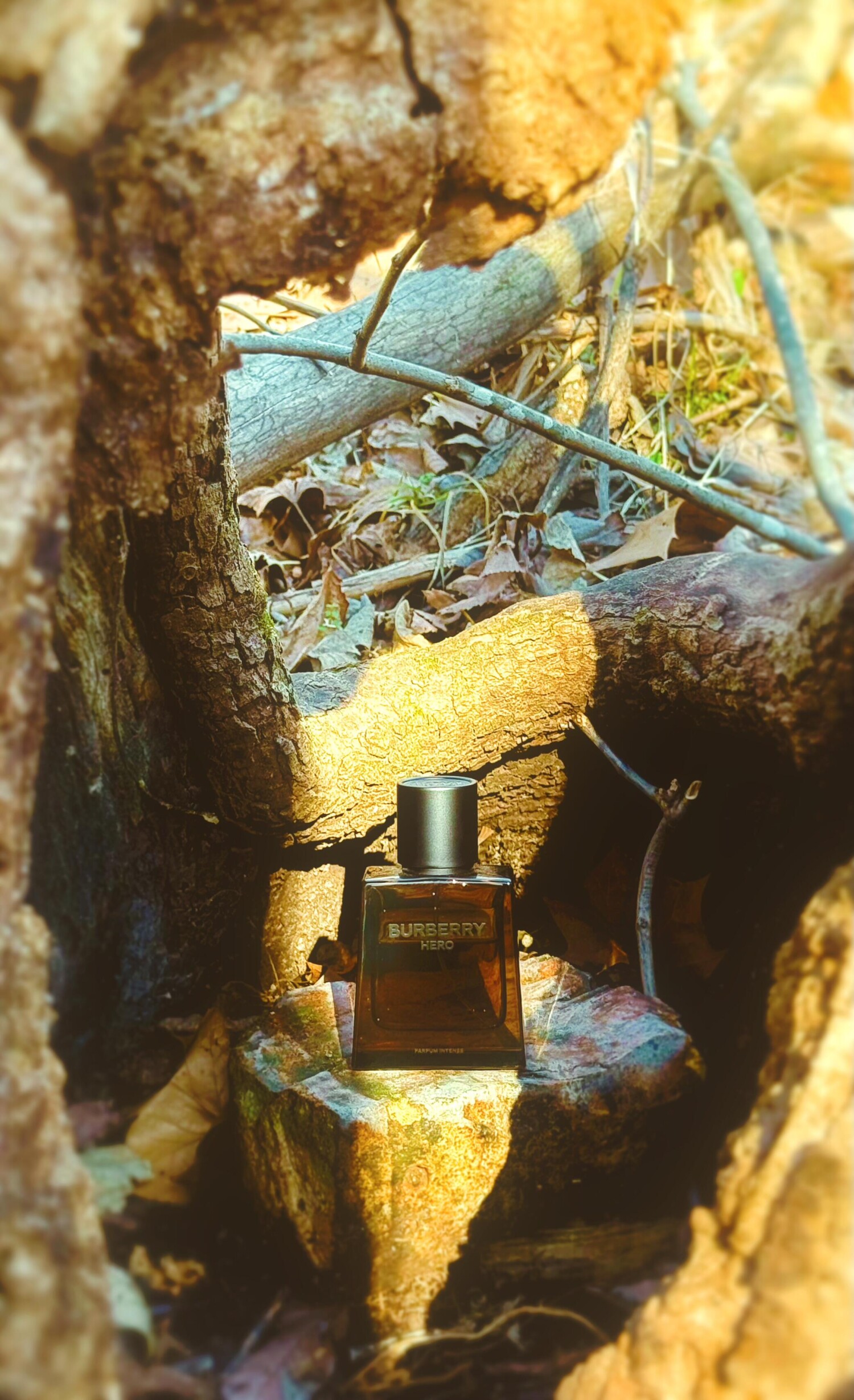 Hero Parfum Intense Burberry kolonya - erkekler için yeni bir koku 2025