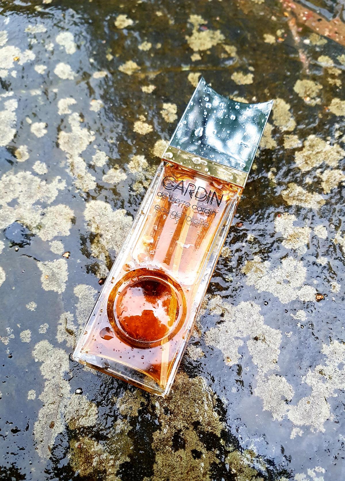 Cardin Pierre Cardin perfume - a fragrance for women 1976