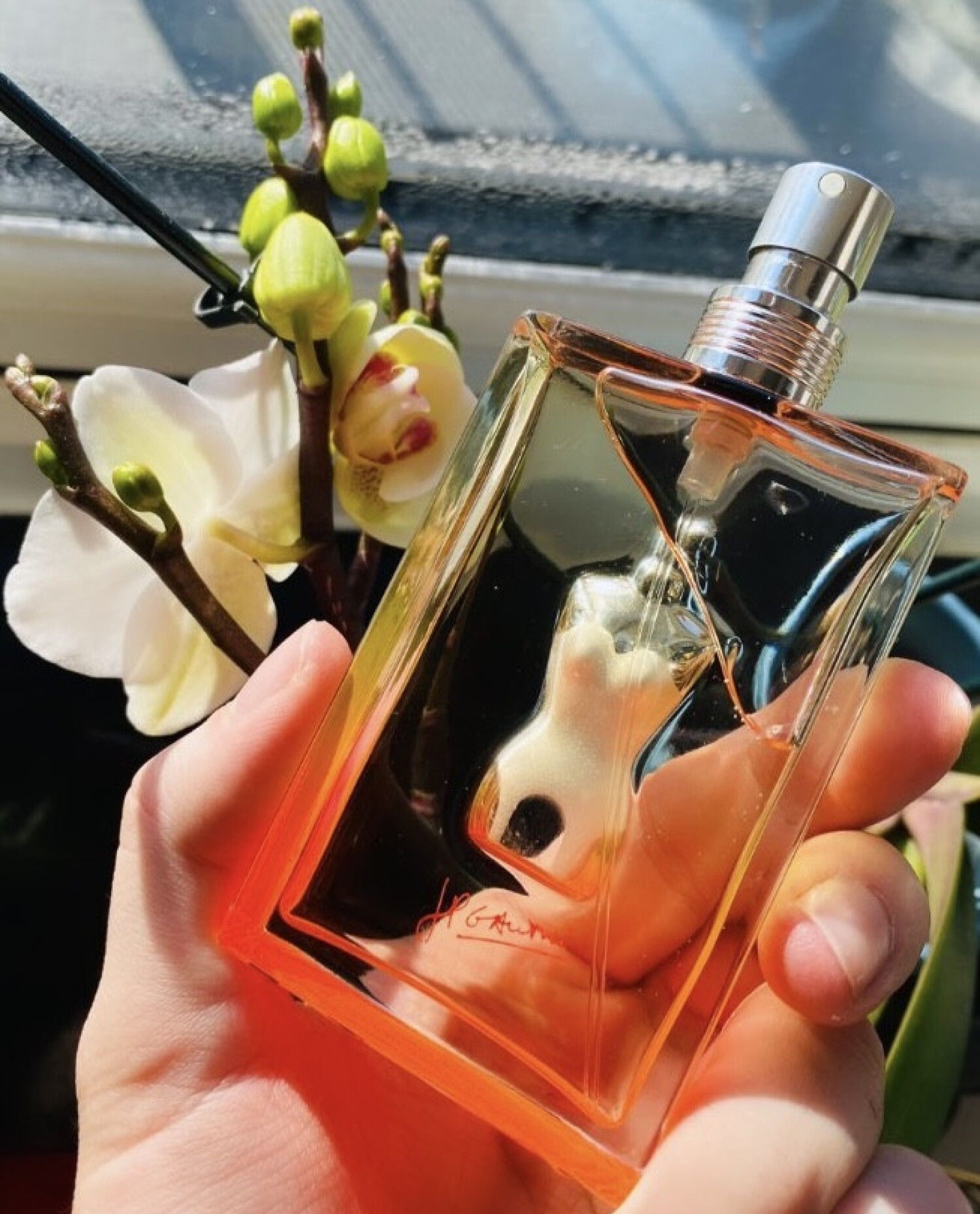 Ma Dame Jean Paul Gaultier perfume - a fragrance for women 2008
