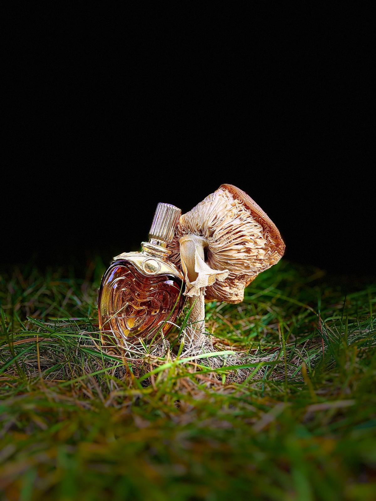 Escada Collection Escada perfume - a fragrance for women 1997