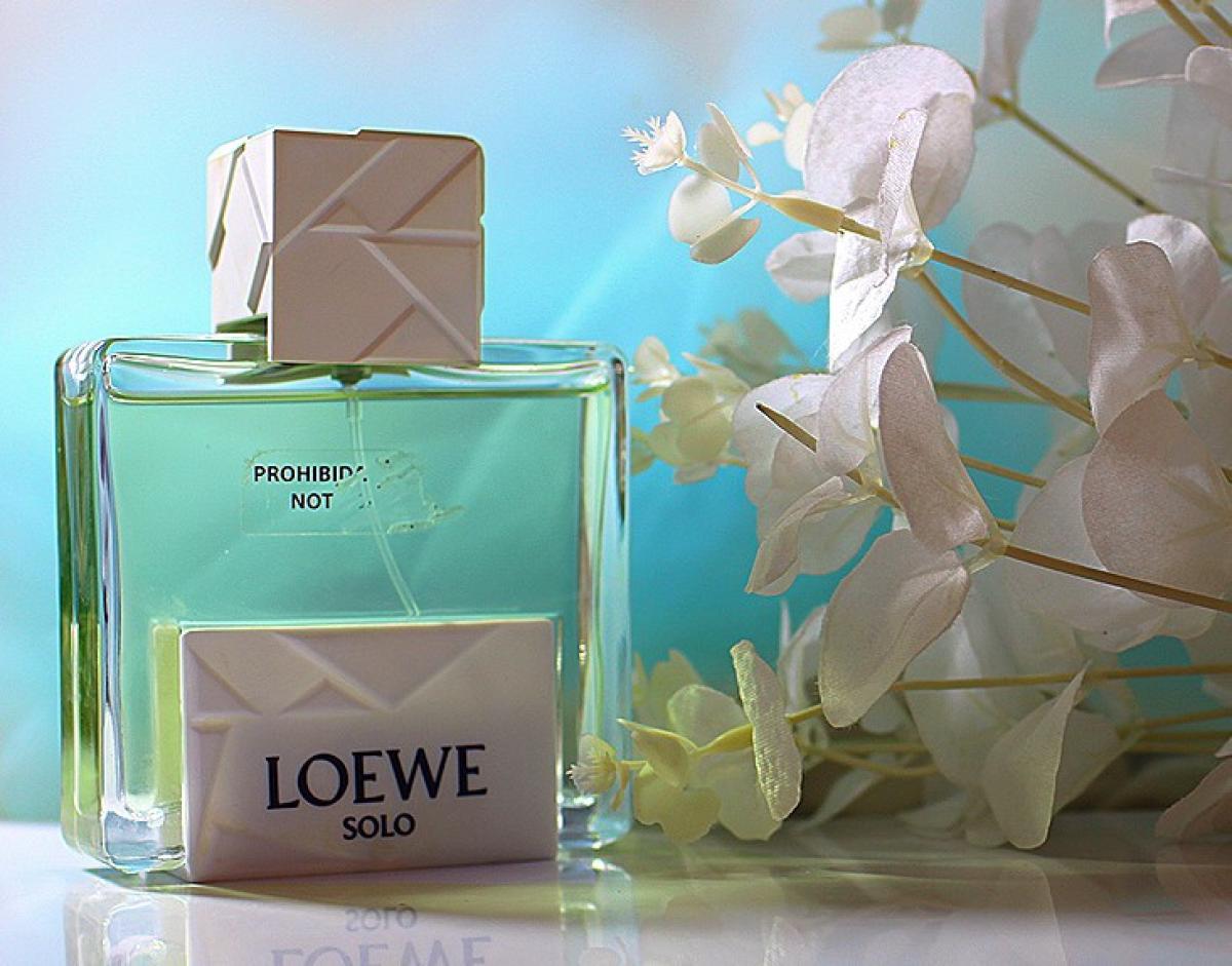 Solo Loewe Origami Loewe cologne - a fragrance for men 2018