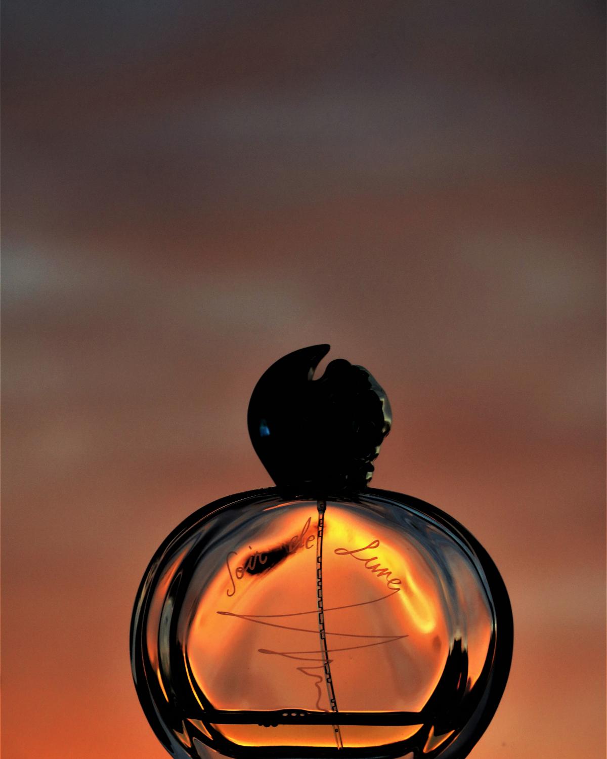 Soir de Lune Sisley perfume - a fragrance for women 2006