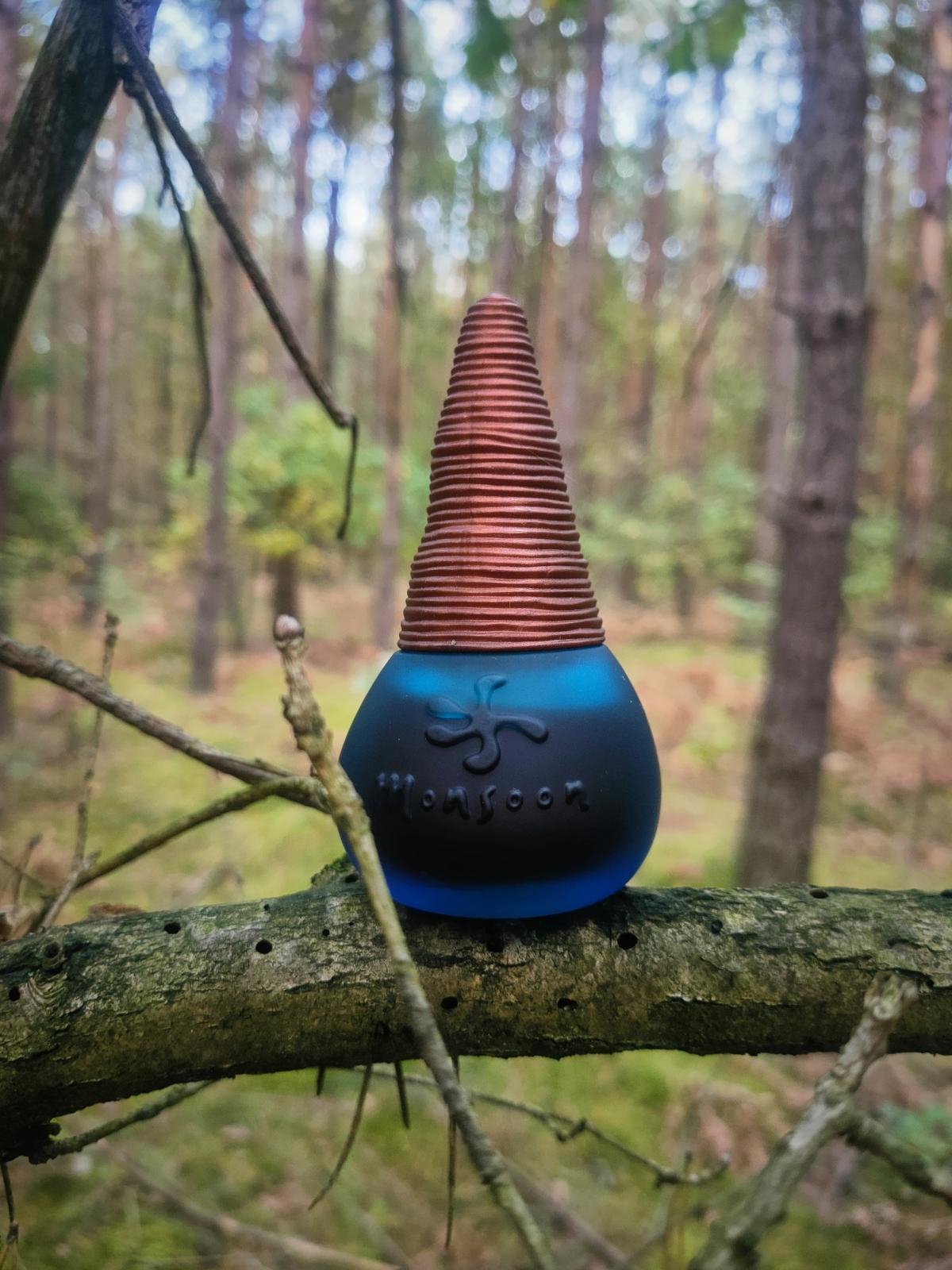 Monsoon (original) Monsoon perfume - a fragrance for women 1994