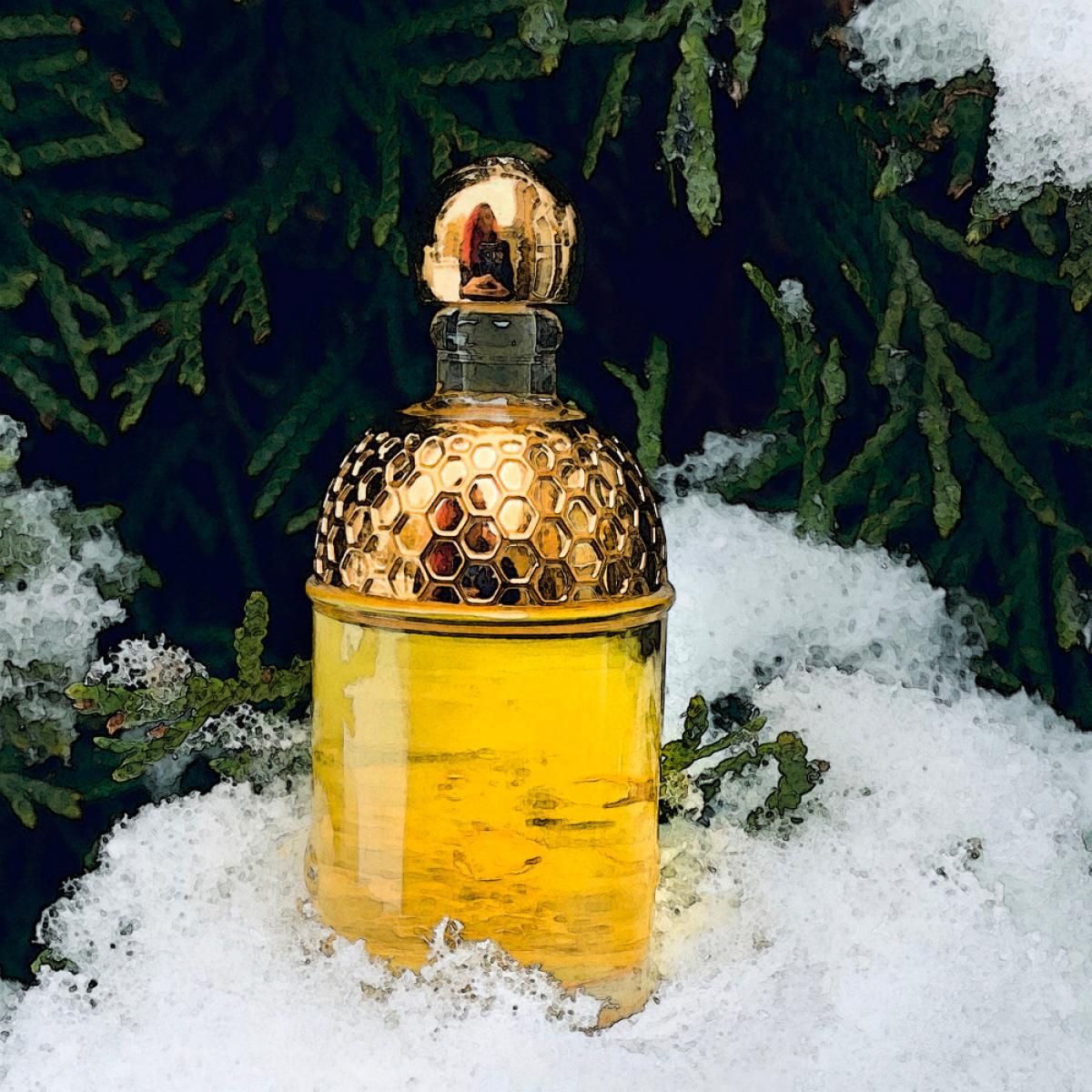 Aqua Allegoria Winter Delice Guerlain perfume - a fragrance for women and men 2005