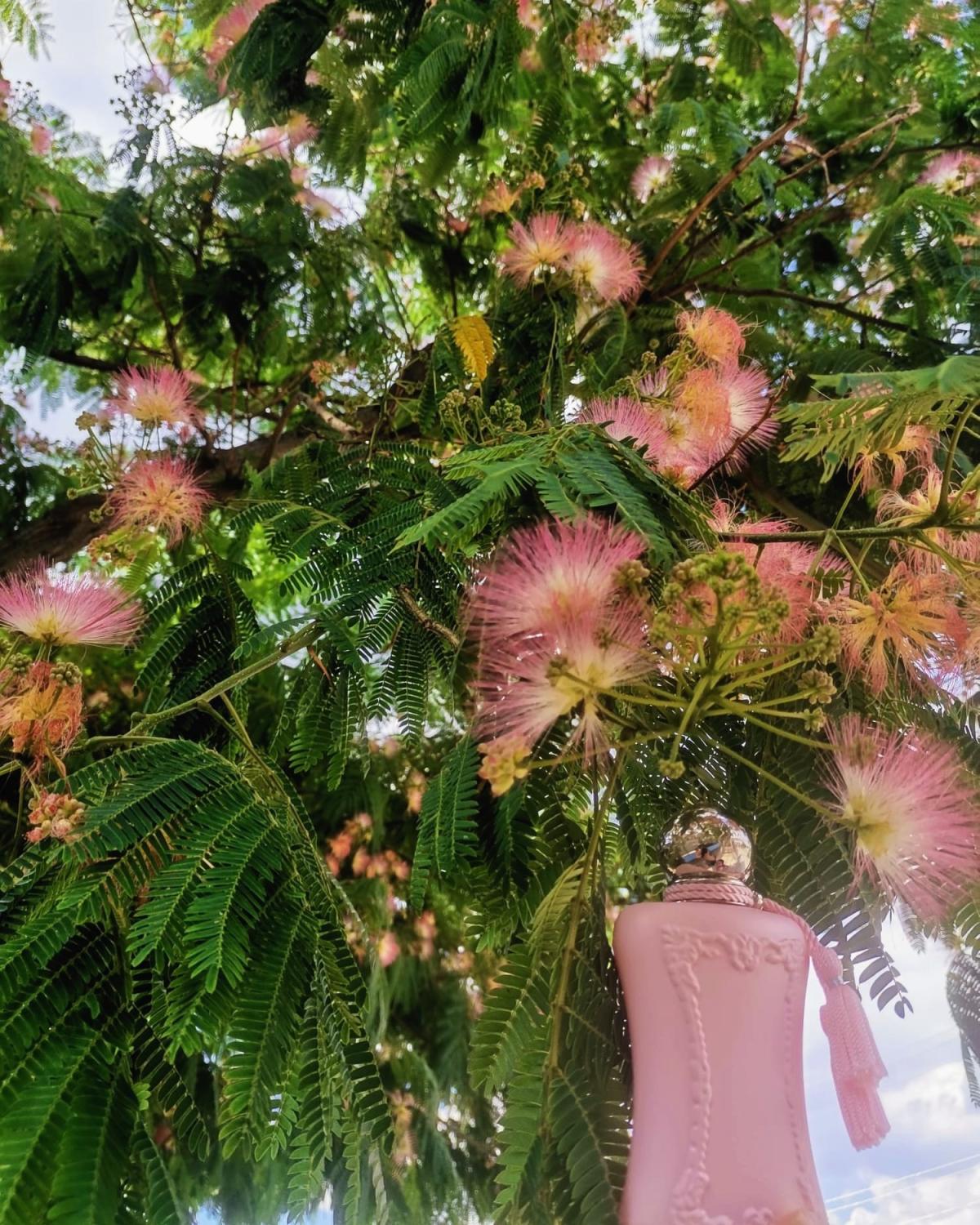 Delina Parfums de Marly perfume - a fragrance for women 2017