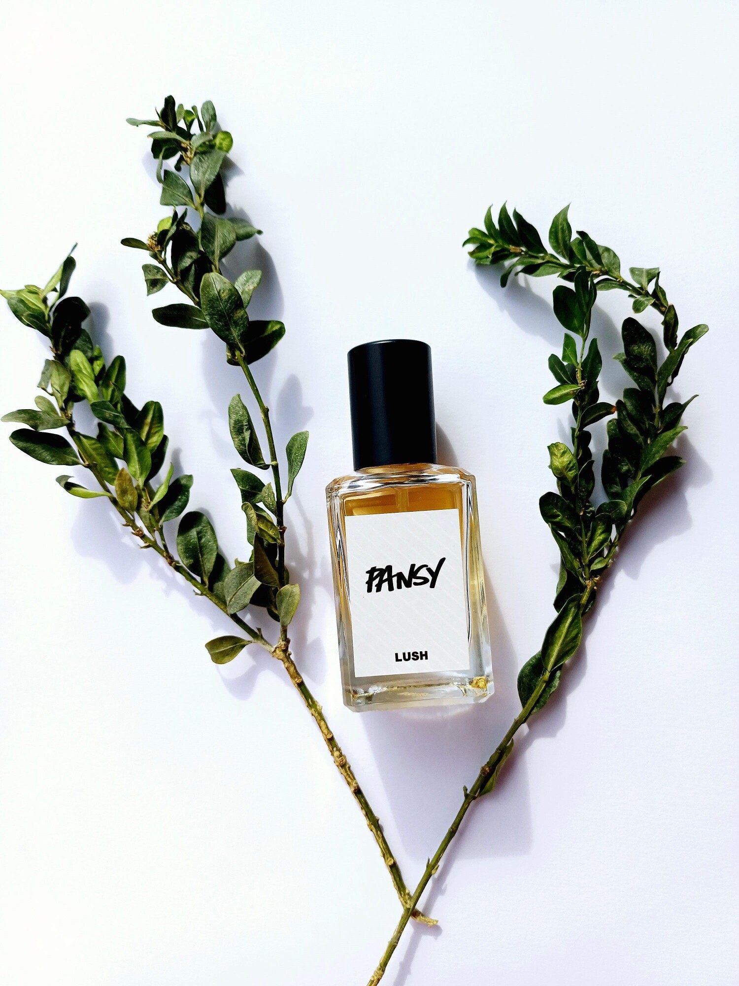 Pansy Lush fragancia - una fragancia para Hombres y Mujeres 1993