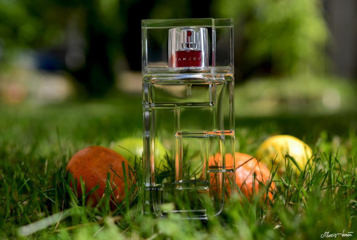 3 AM Sean John cologne - a fragrance for men 2015