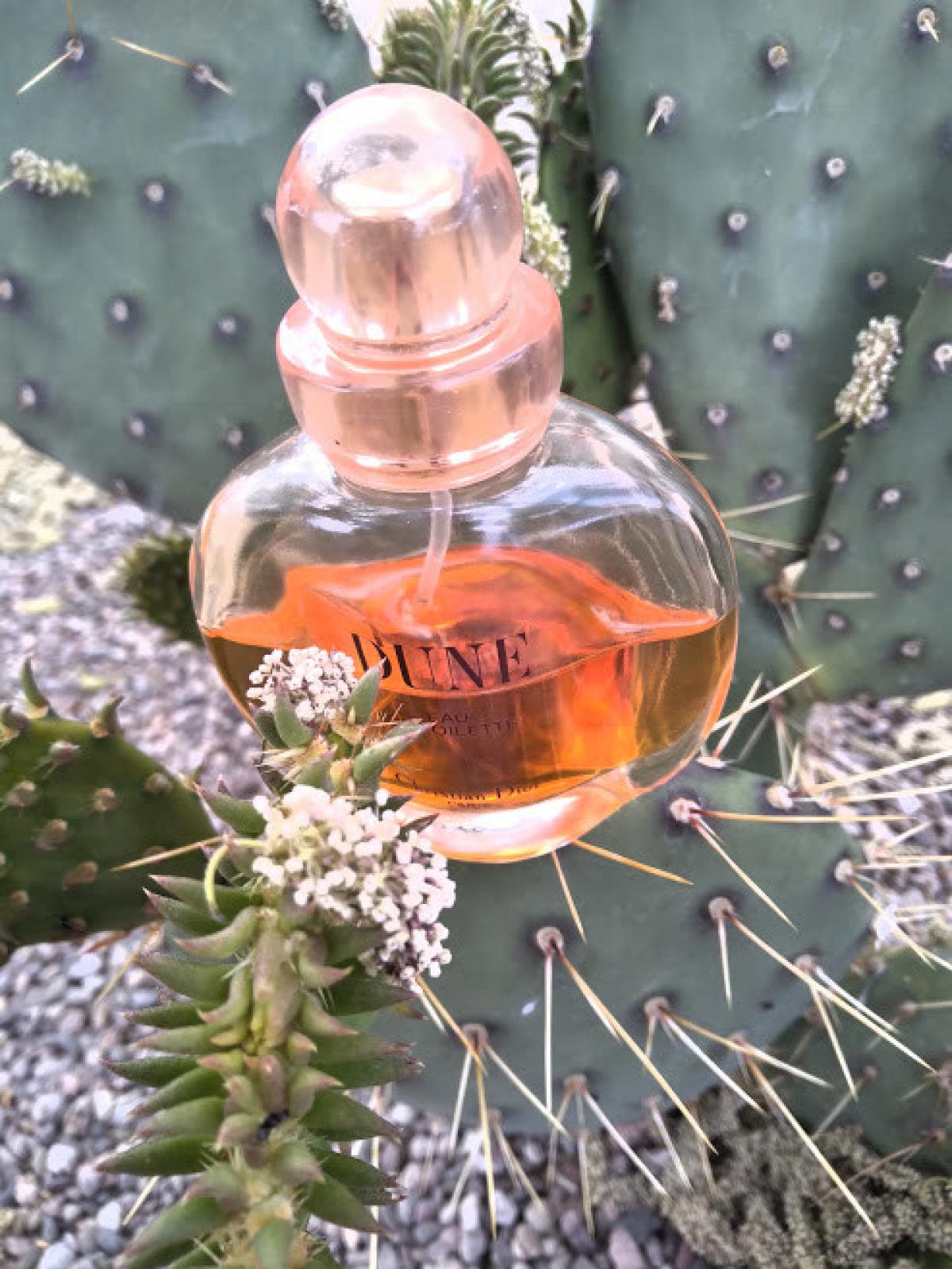 Dune Dior perfume - a fragrance for women 1991