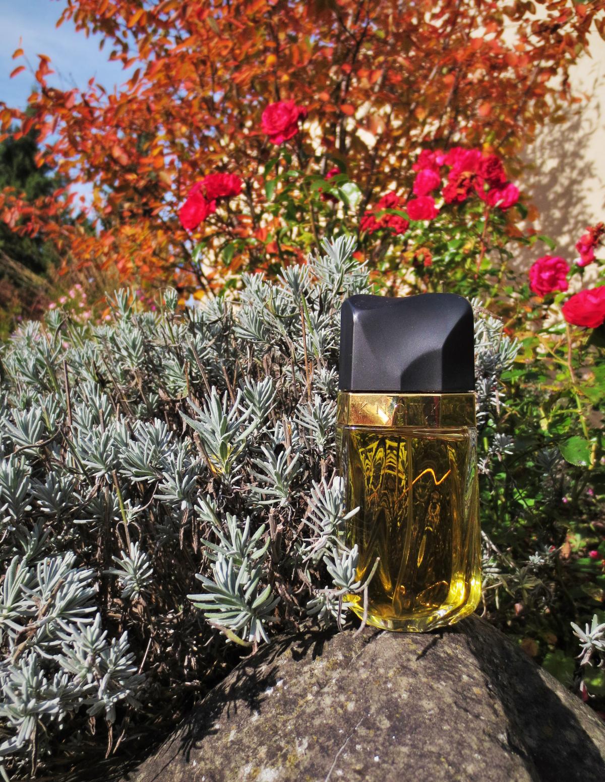 Knowing Estée Lauder perfume - a fragrance for women 1988