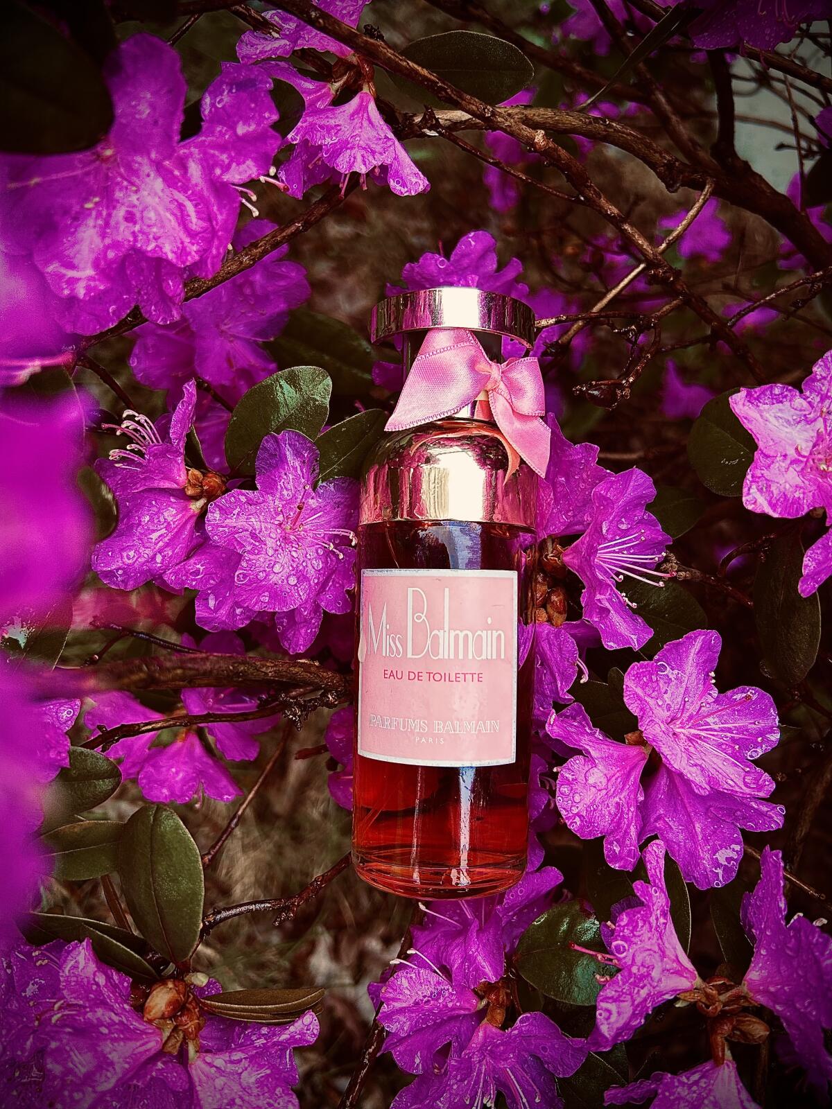 Miss Balmain Pierre Balmain perfume - a fragrância Feminino 1967