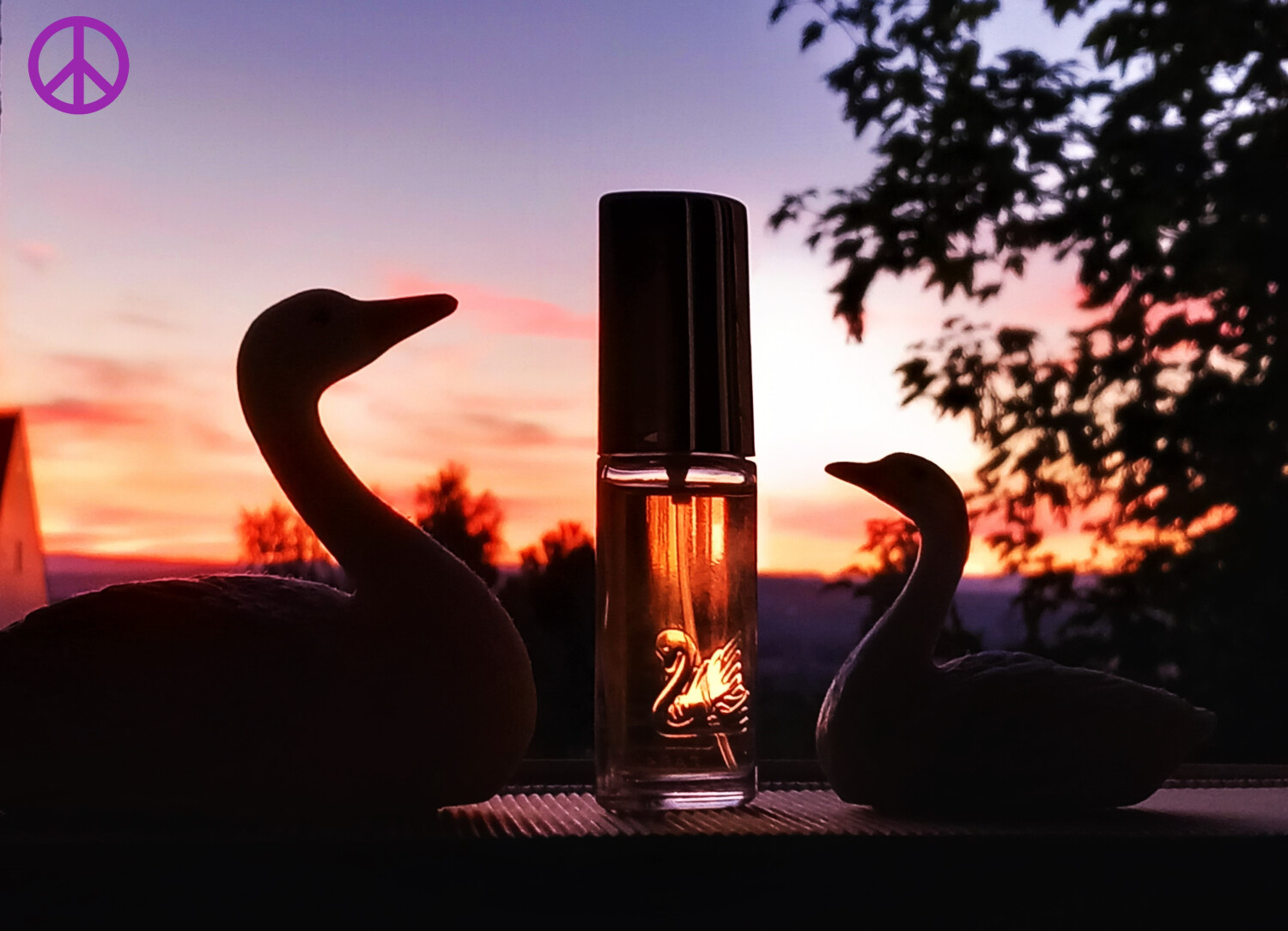 Vanderbilt Gloria Vanderbilt perfume - a fragrance for women 1982