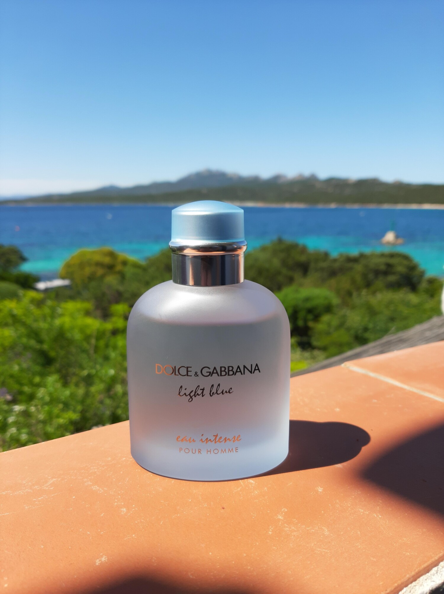 Light Blue Eau Intense Pour Homme Dolce&Gabbana cologne - a fragrance ...