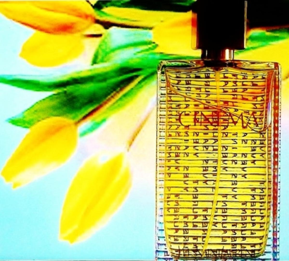 Cinéma Yves Saint Laurent perfume - a fragrance for women 2004