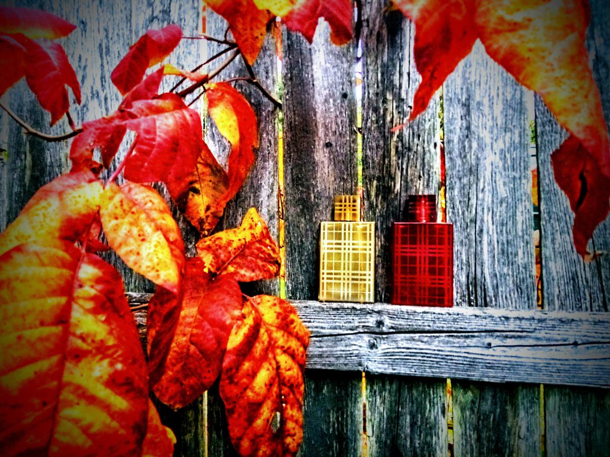 Burberry Brit Red Burberry perfume - a fragrance for women 2004