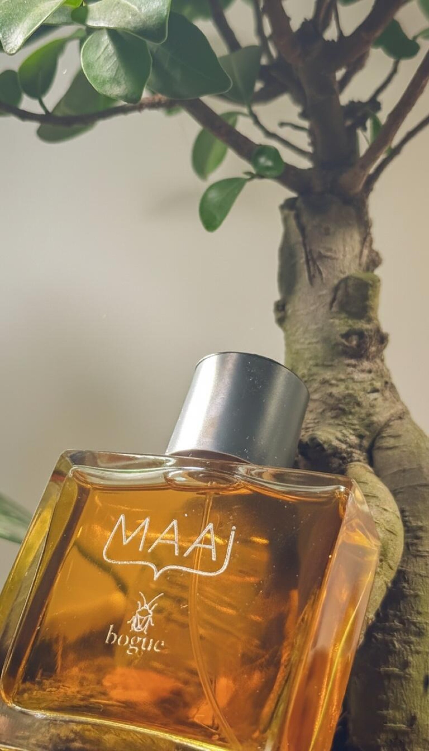 Maai Bogue perfume - a fragrance for women and men 2014