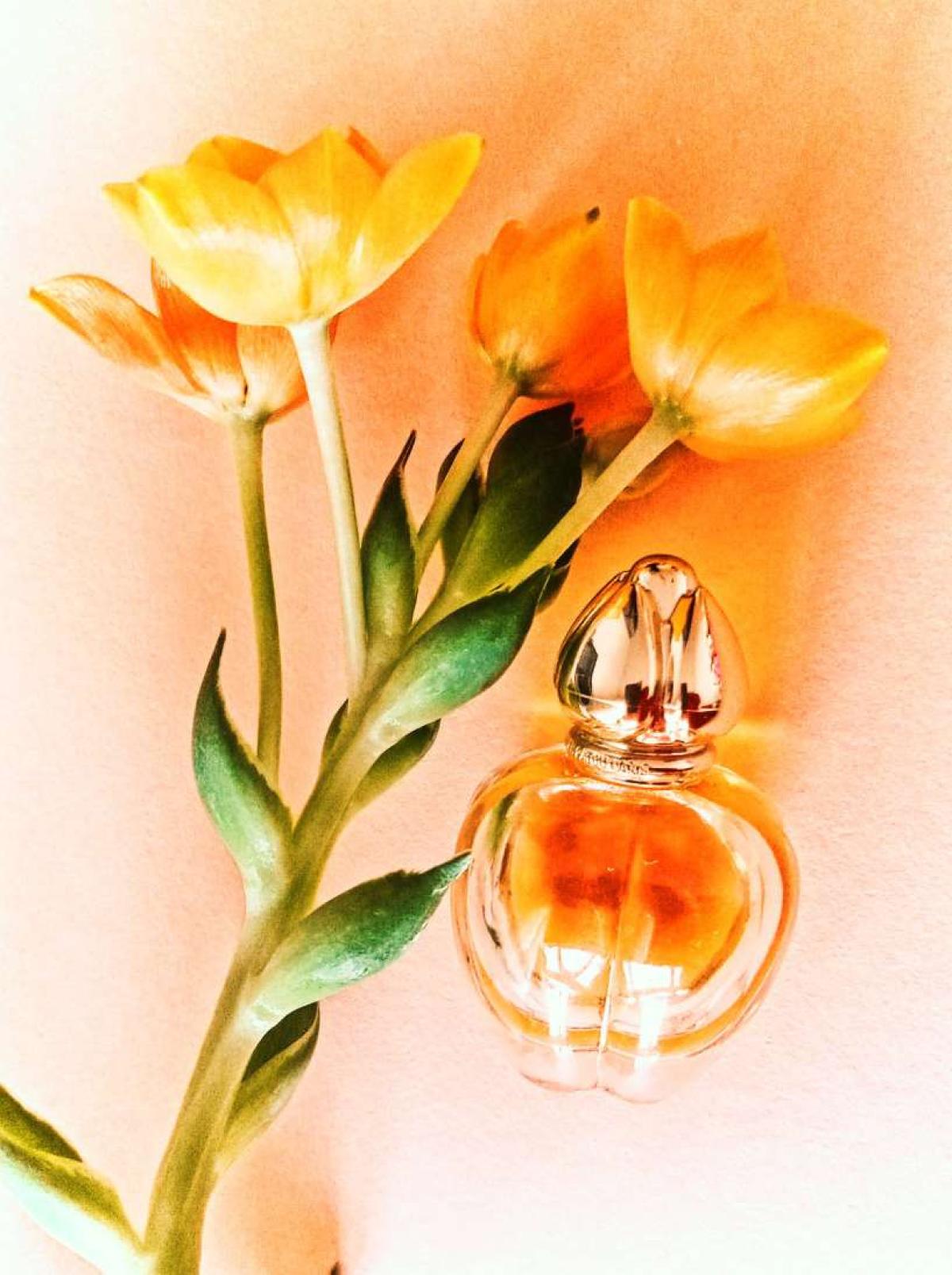 Sublime Jean Patou perfume - a fragrance for women 1992