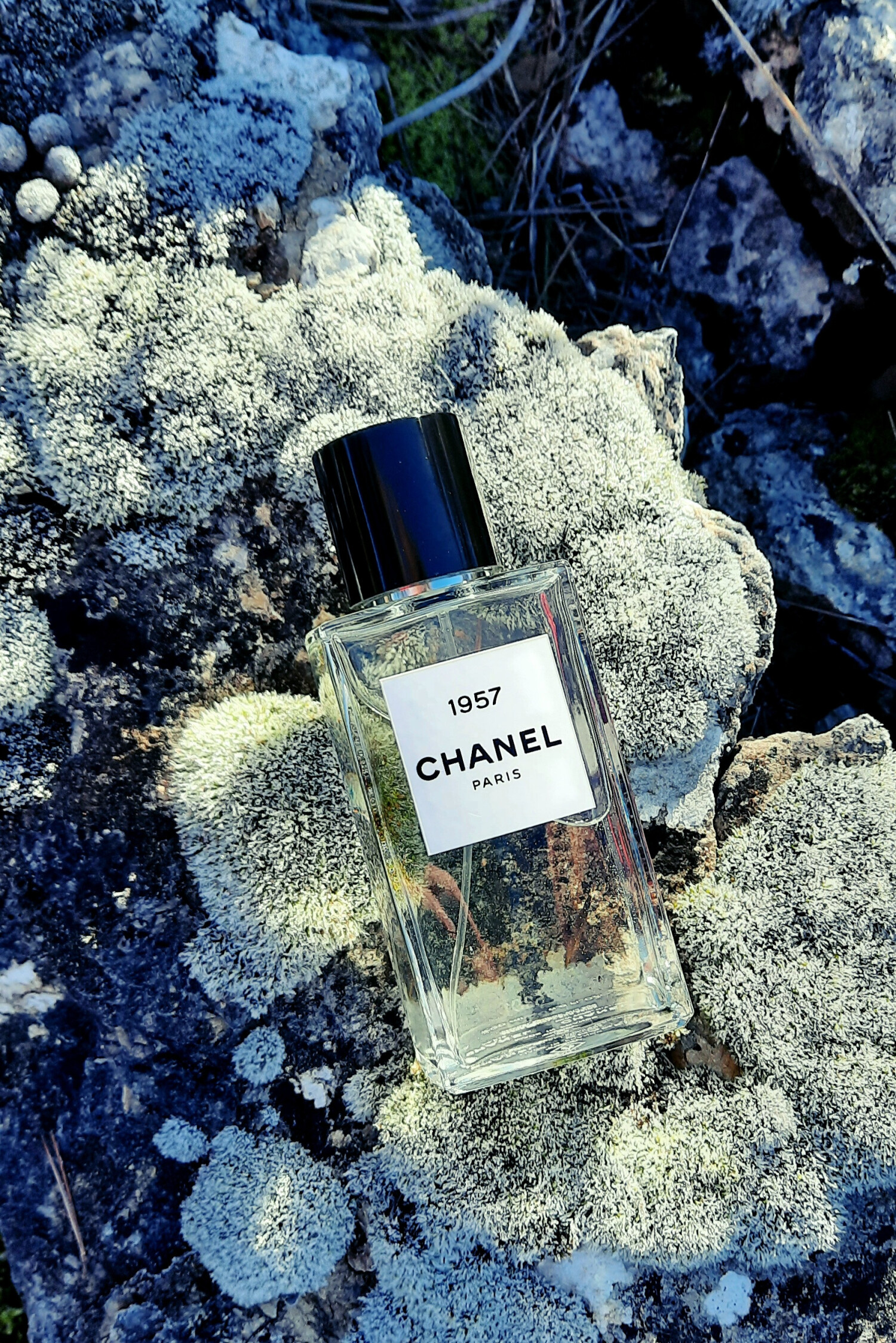 1957 Eau de Parfum Chanel perfume - a fragrance for women and men 2019