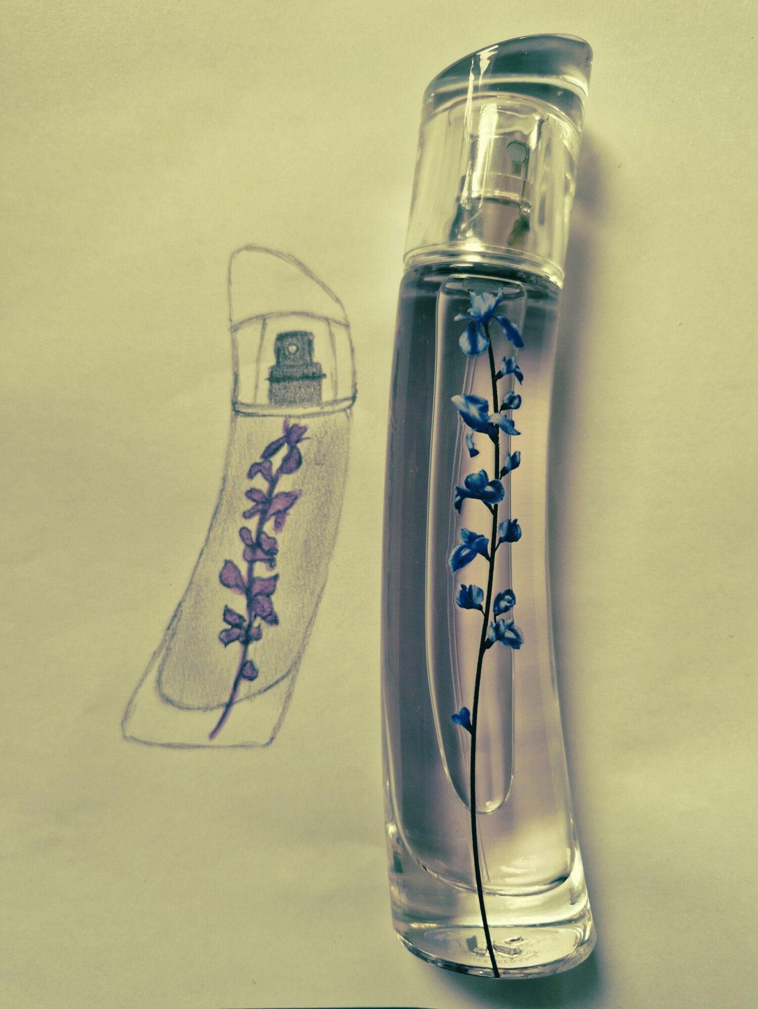 Flower Ikebana Indigo Kenzo perfume - a new fragrance for women 2025