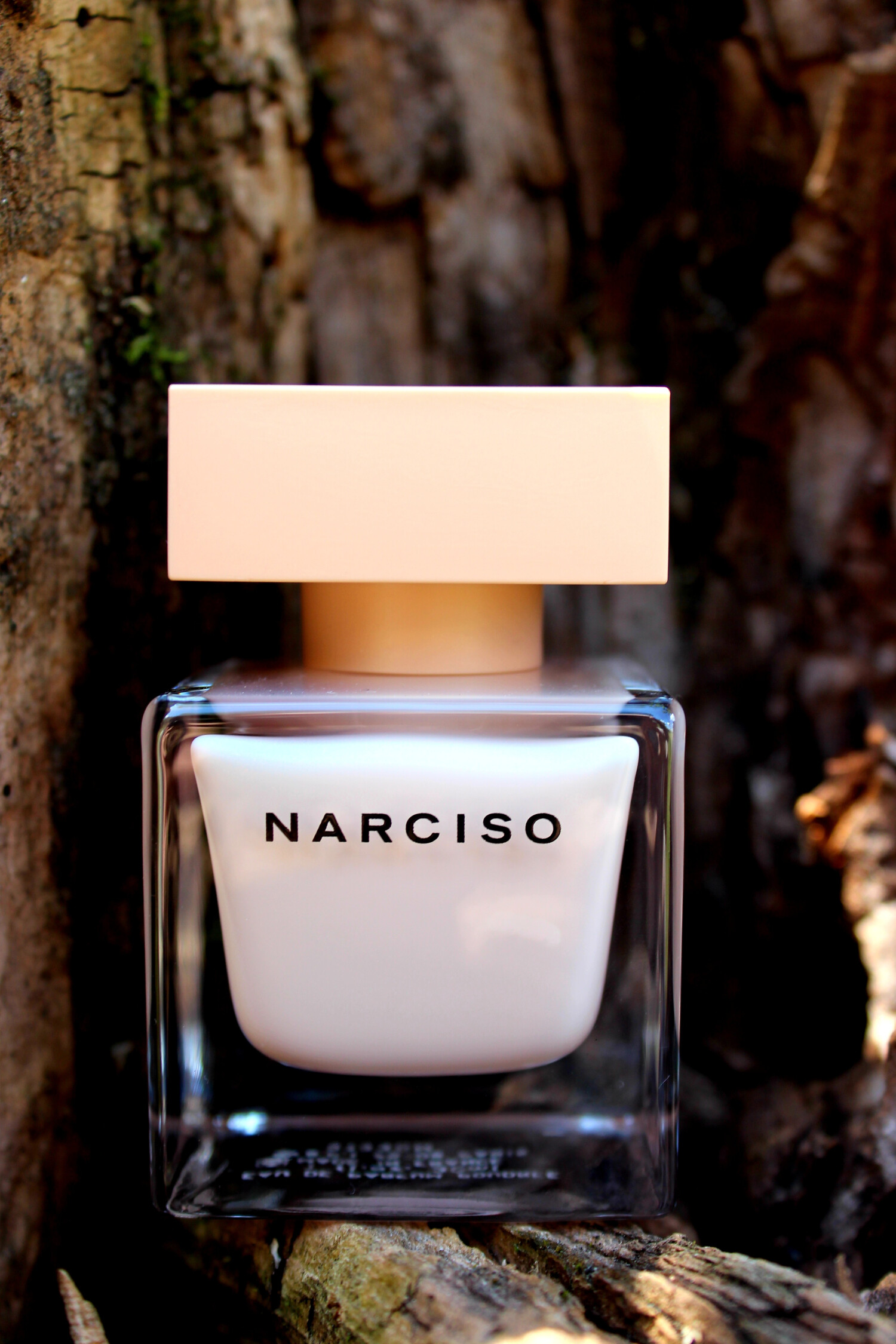 Narciso Poudree Narciso Rodriguez άρωμα - ένα άρωμα για γυναίκες 2016