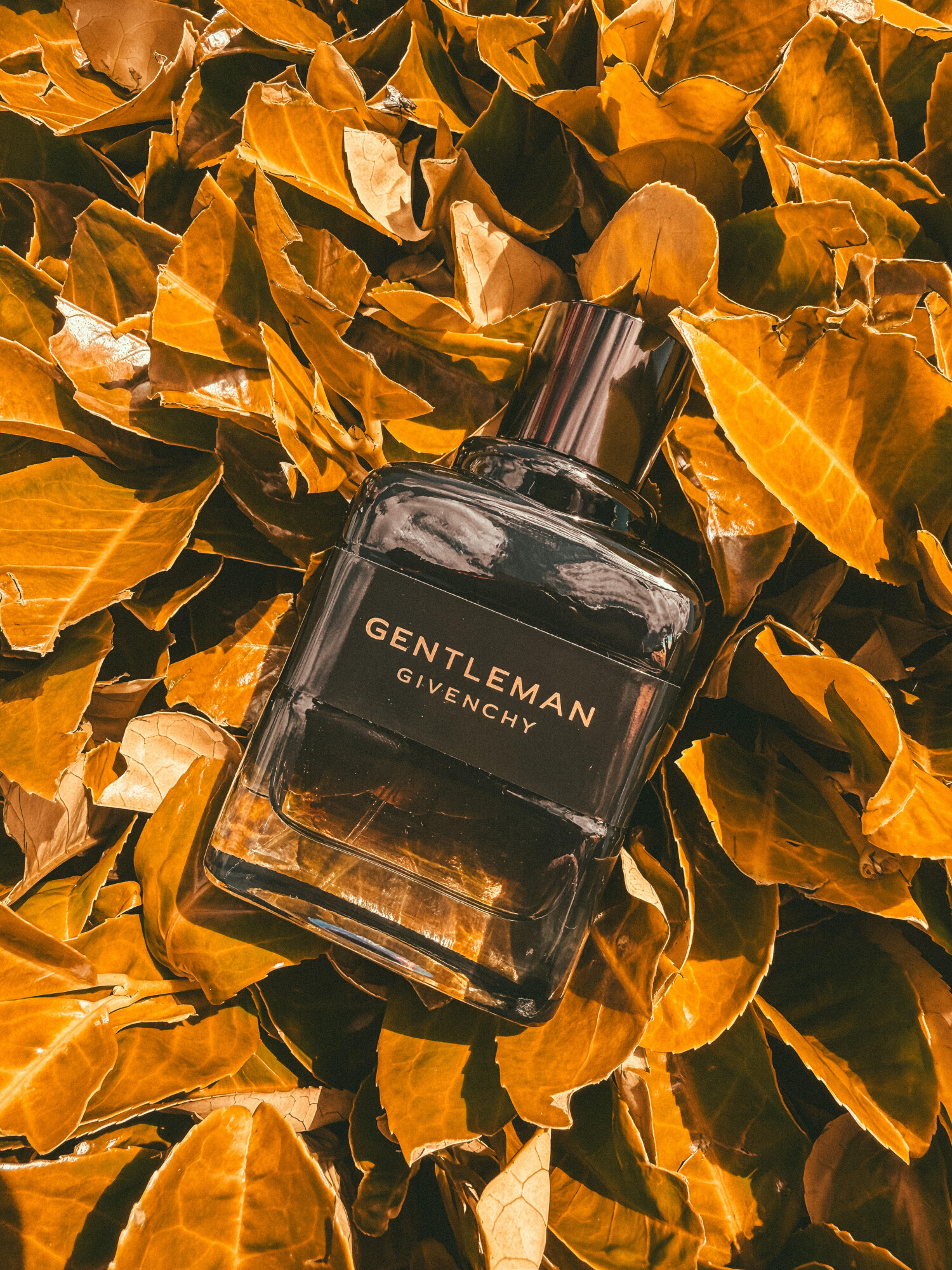 Gentleman Eau de Parfum Reserve Privée Givenchy cologne - a fragrance ...