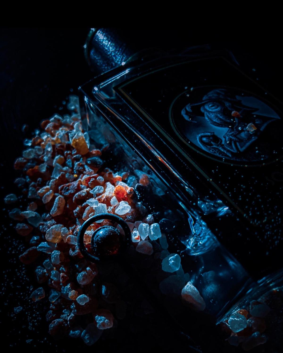 Squid Zoologist Perfumes perfume - a fragrance for women and men 2019