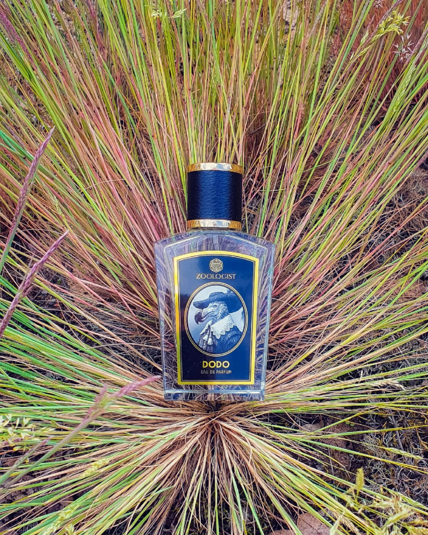 Dodo Zoologist Perfumes parfum - un parfum pour homme et femme 2019