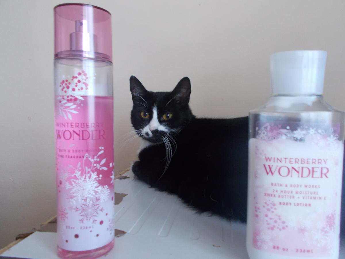 Winterberry Wonder Bath & Body Works Parfum - ein es Parfum für Frauen 2015