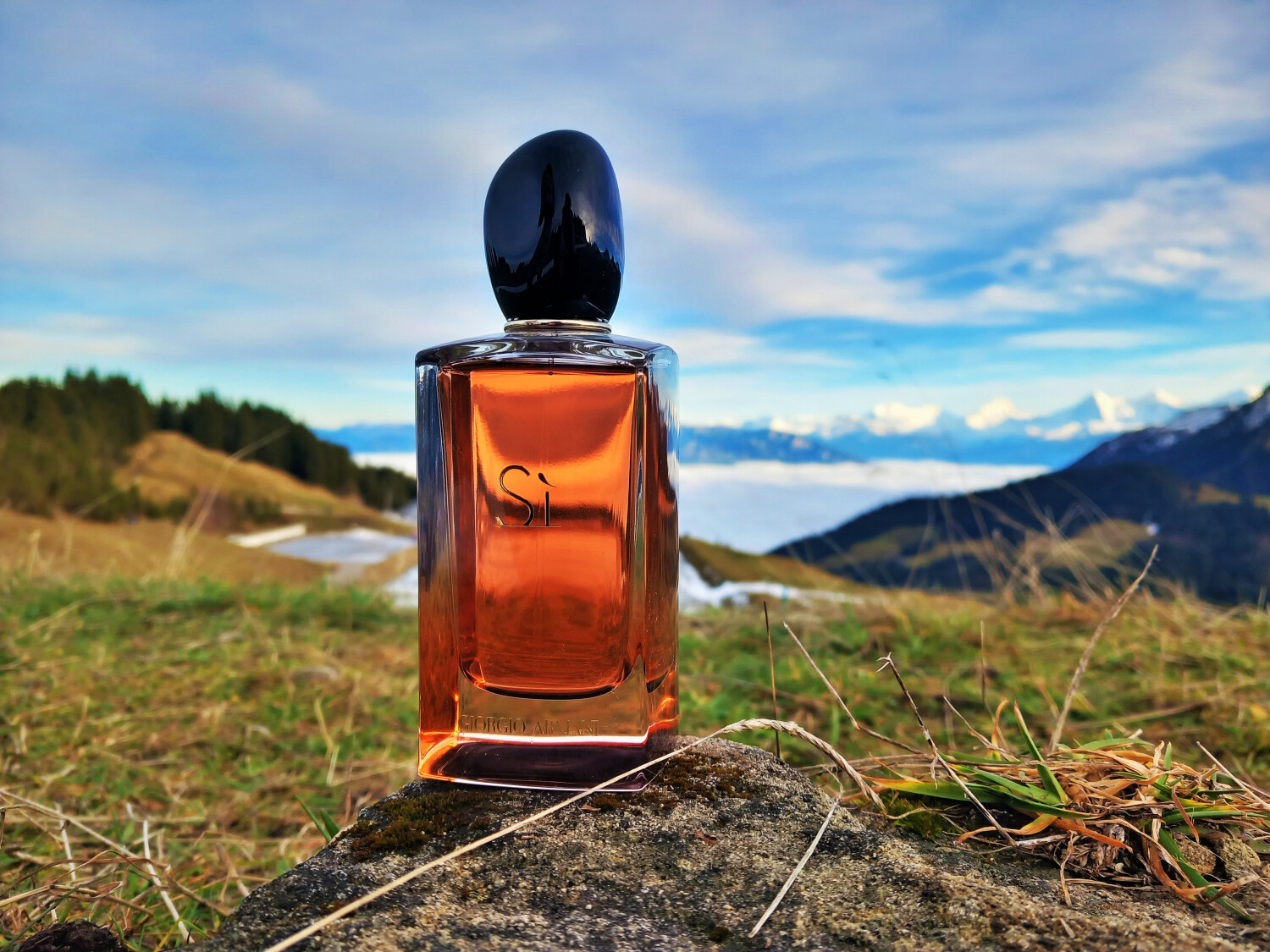 Sì Intense 2021 Giorgio Armani perfume - a fragrance for women 2021