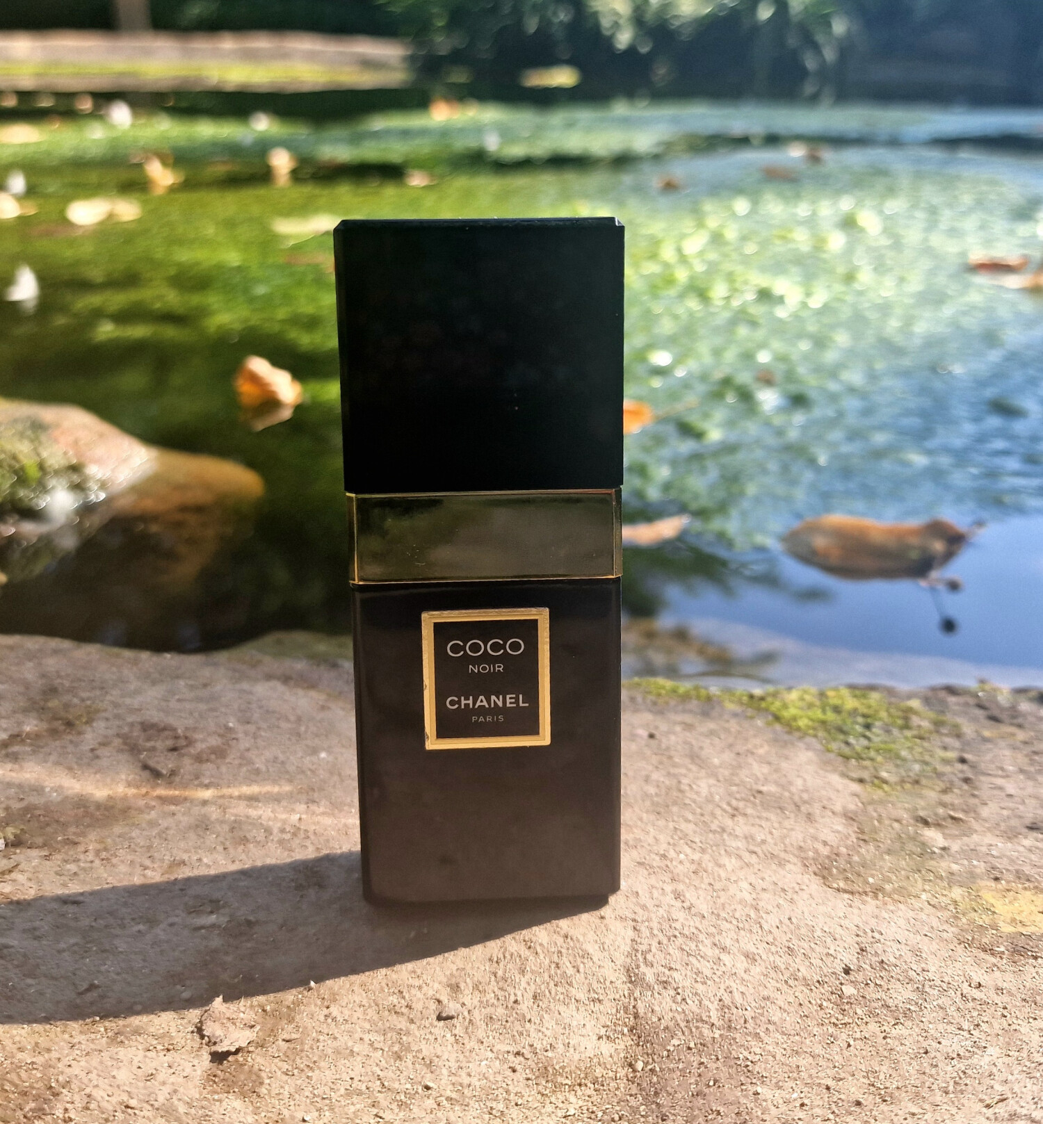 Coco Noir Chanel perfume - a fragrance for women 2012