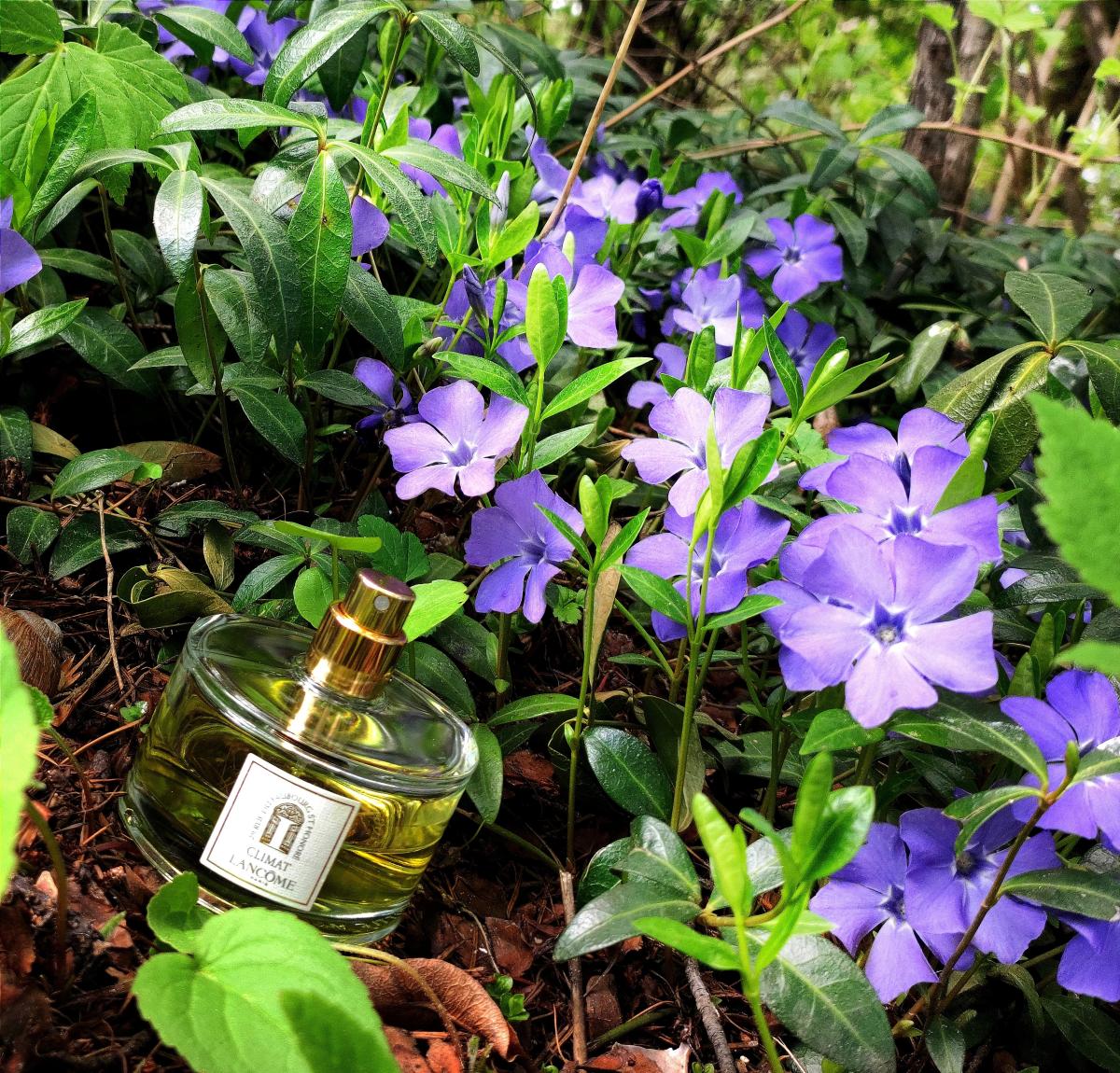 Climat Lancôme perfume - a fragrance for women 1967