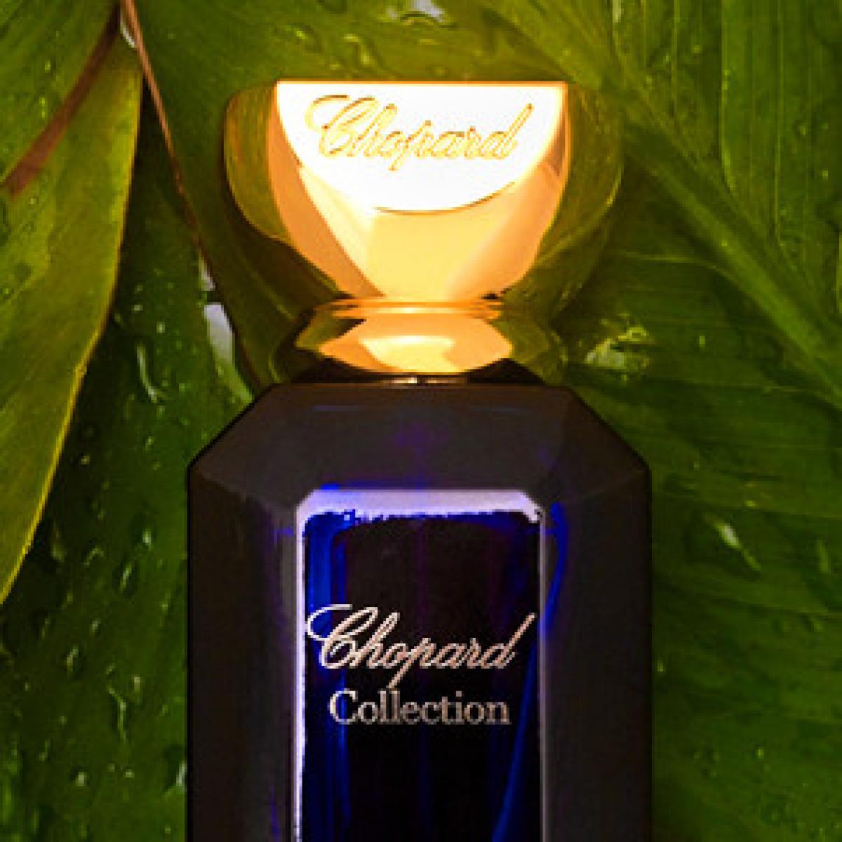 Vetiver d'Haiti au The Vert Chopard parfum - un parfum pour homme et ...