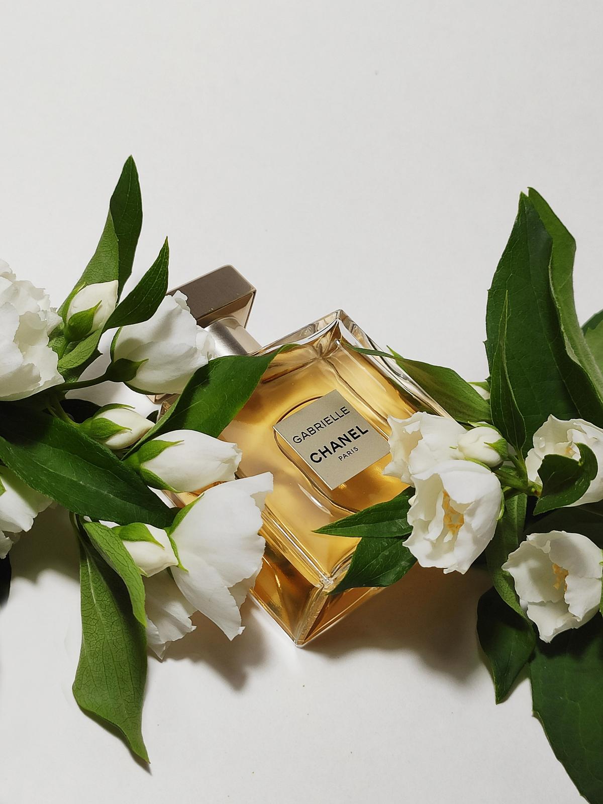 Gabrielle Chanel perfume - a fragrance for women 2017