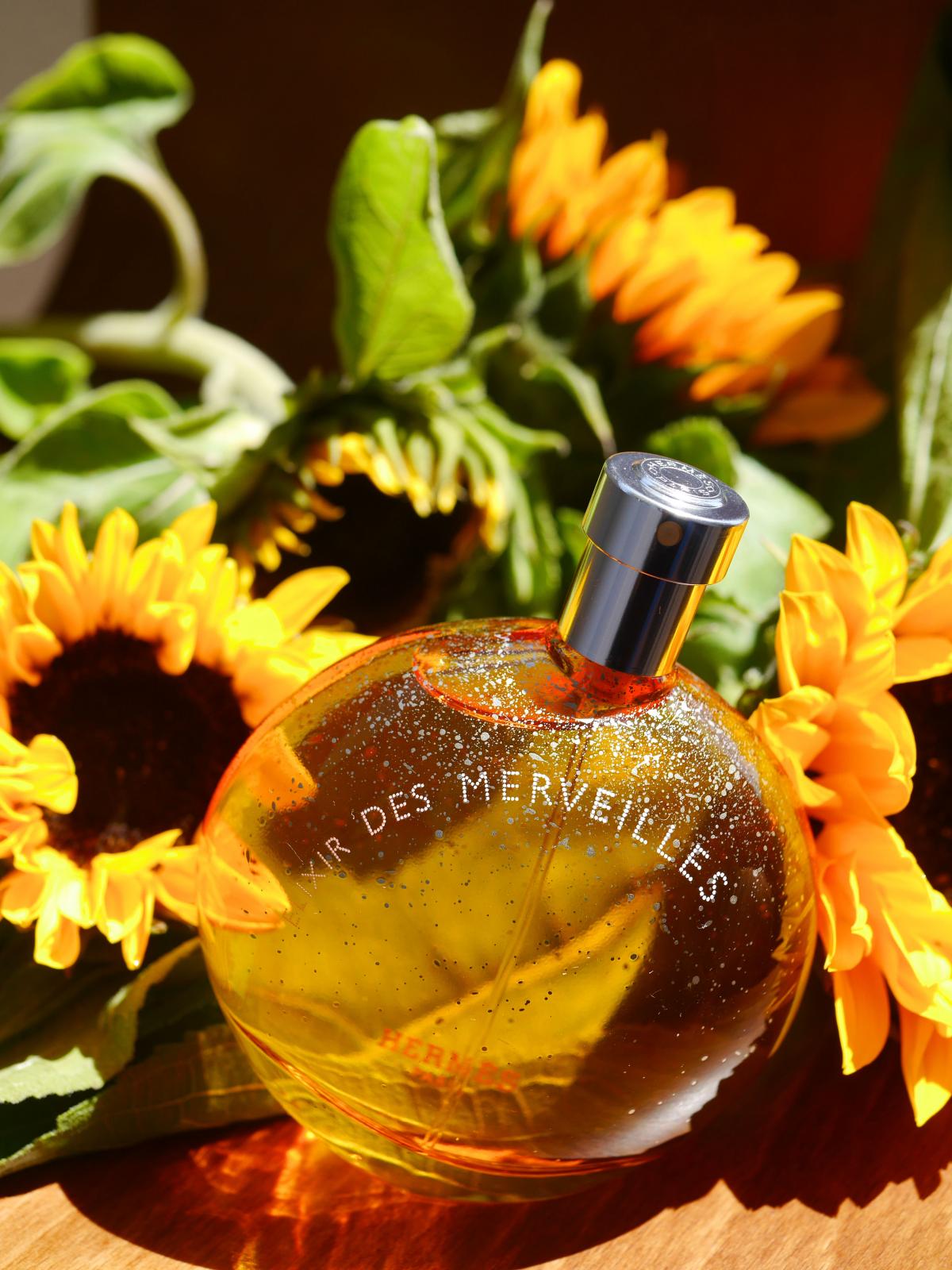 Elixir des Merveilles Hermès Parfum - ein es Parfum für Frauen 2006