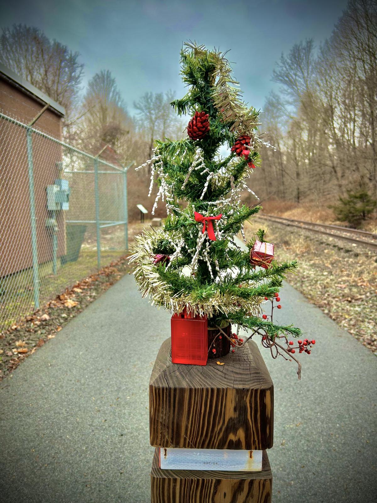 Burberry Brit Red Burberry perfume - a fragrance for women 2004