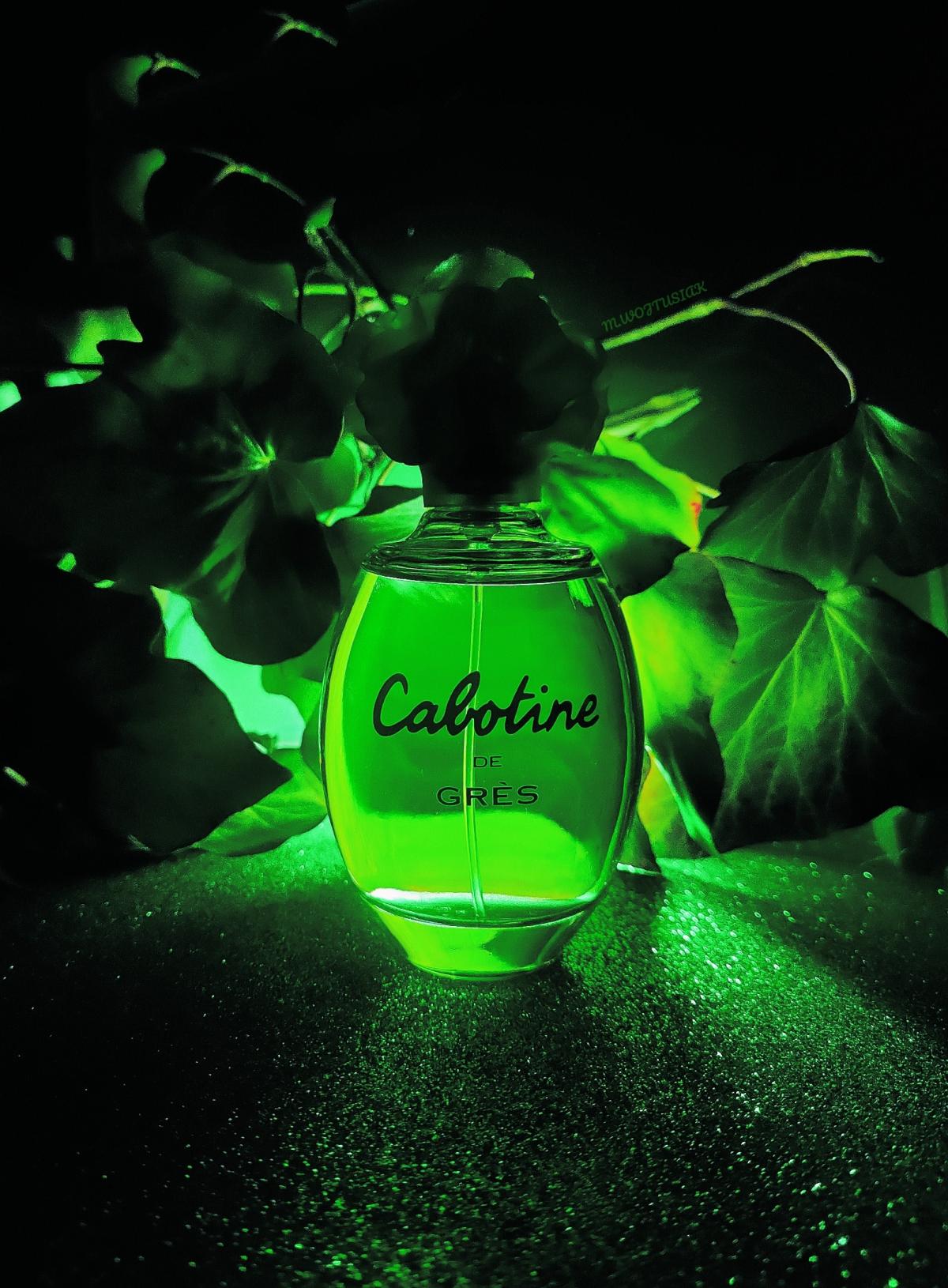 Cabotine Grès perfume - a fragrance for women 1990