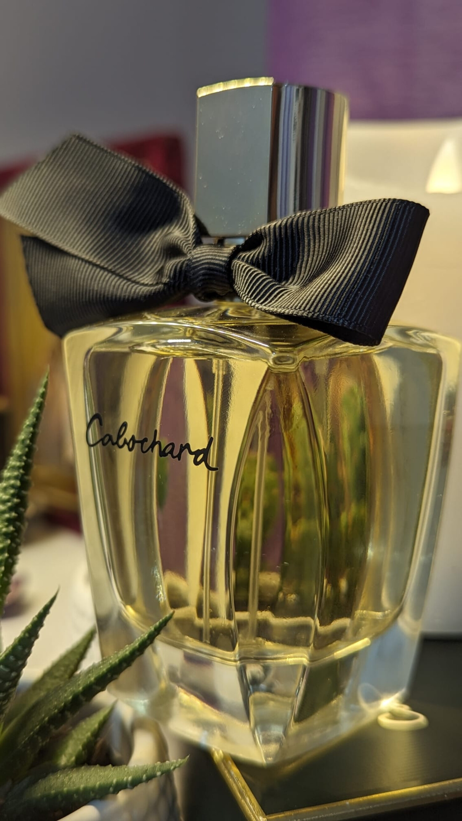 Cabochard Eau de Toilette 2019 Grès Parfum - ein es Parfum für Frauen 2019