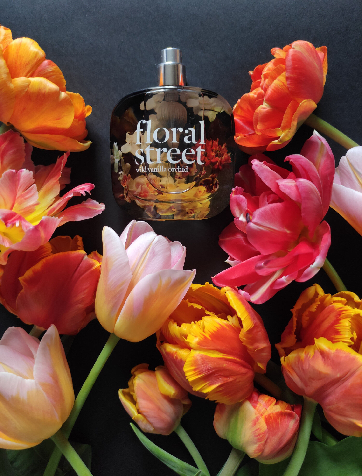 Wild Vanilla Orchid Floral Street perfume - a fragrance for women and ...