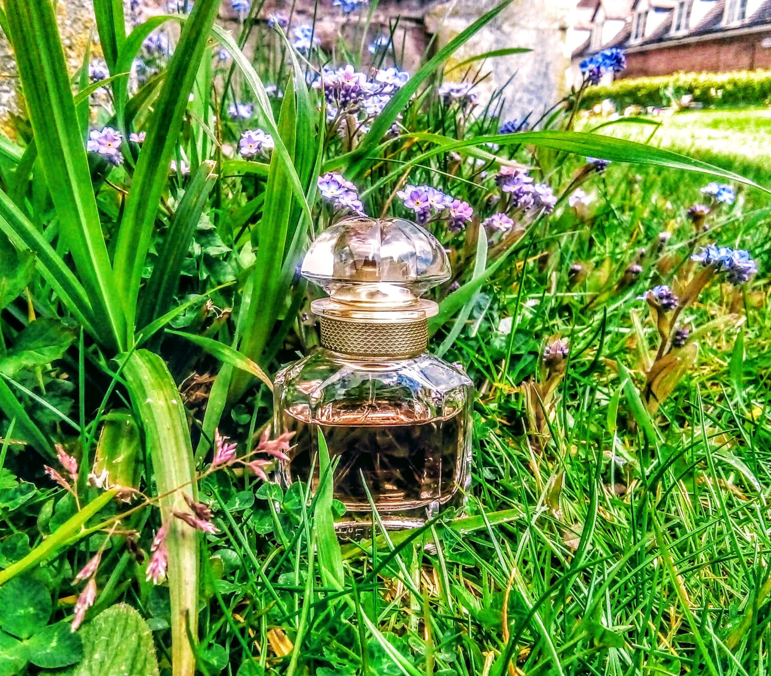 Mon Guerlain Guerlain perfume - a fragrance for women 2017