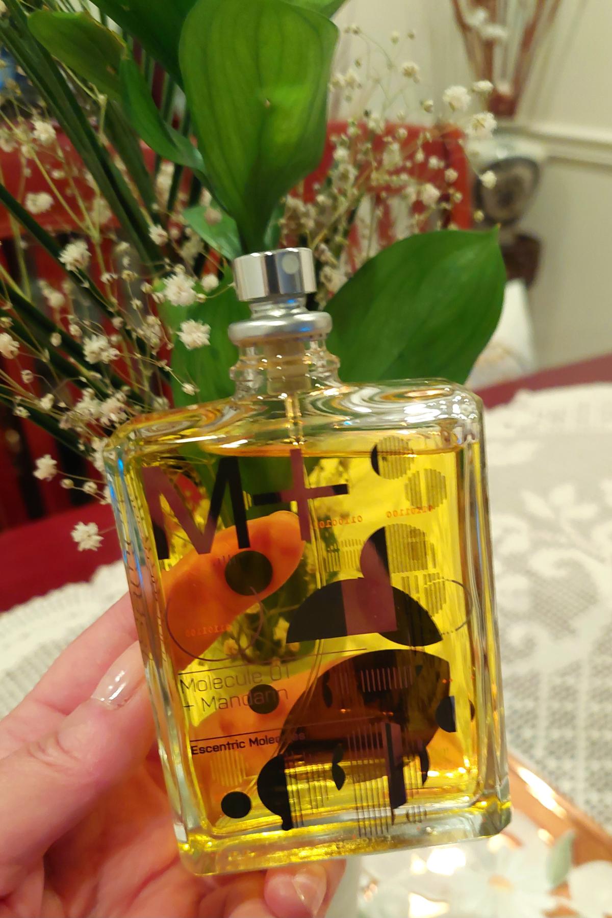 Molecule 01 + Mandarin Escentric Molecules perfume - a fragrance for ...