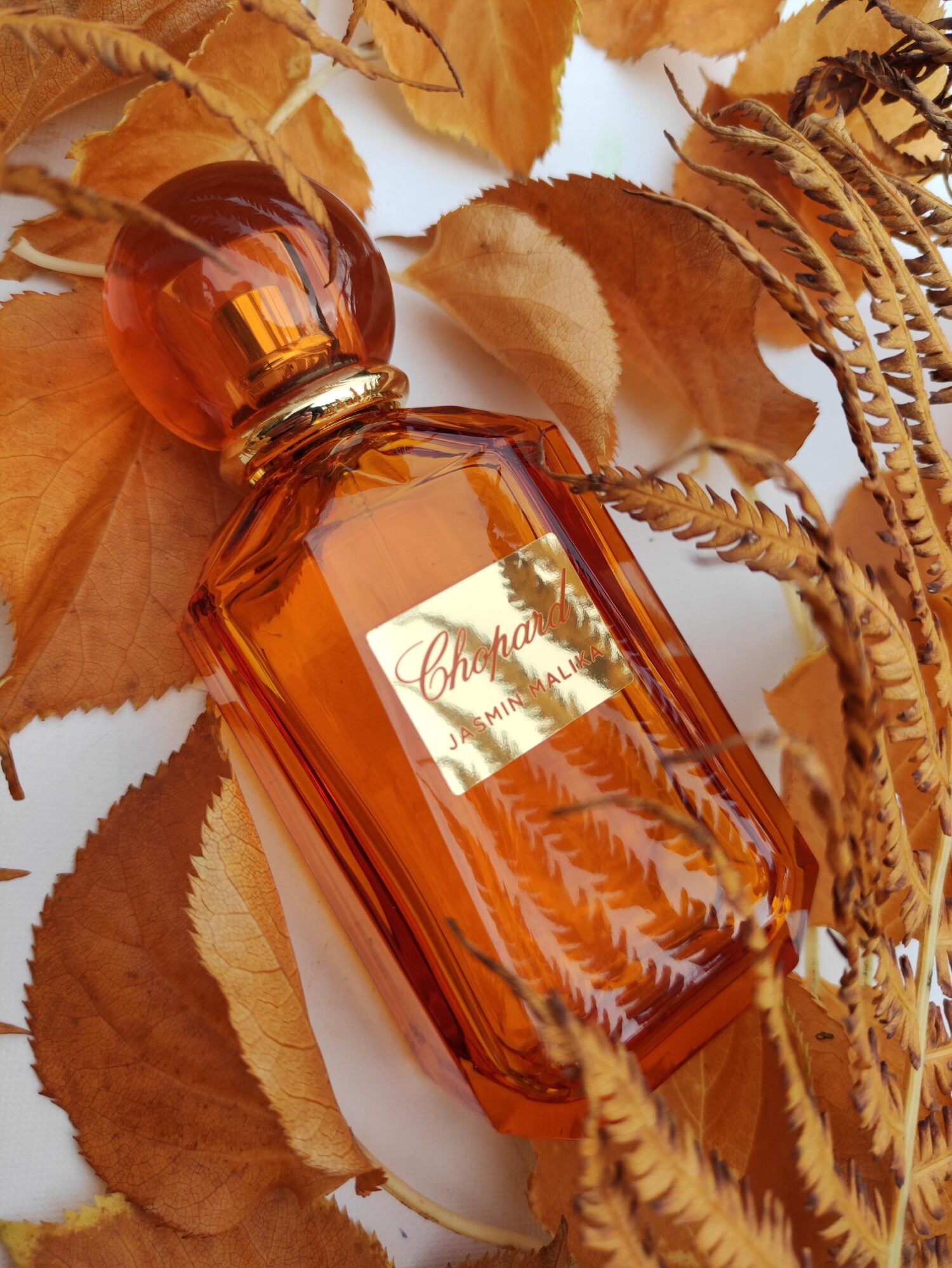 Jasmin Malika Chopard perfume - a new fragrance for women 2025