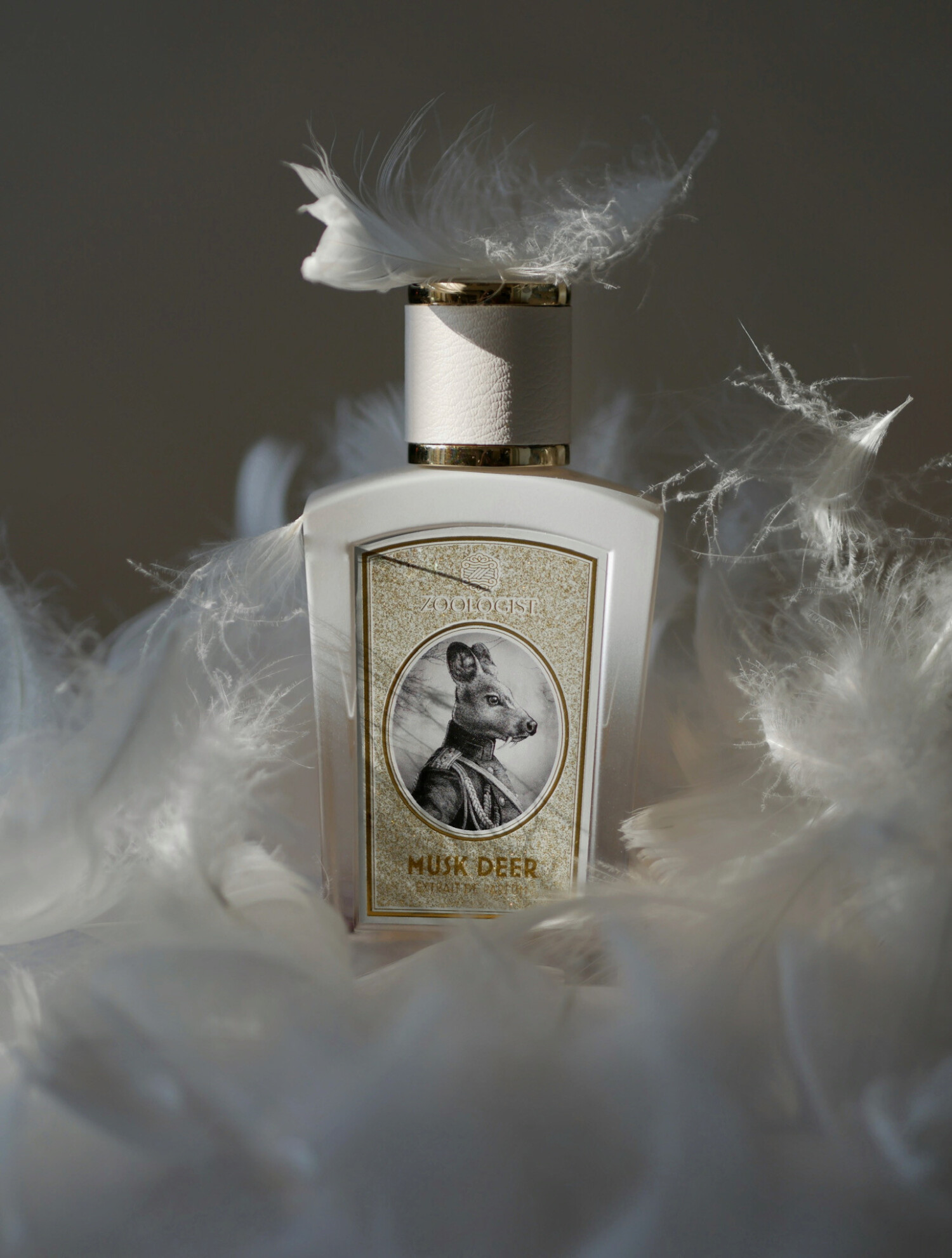 Musk Deer Zoologist Perfumes perfume - a fragrance for women and men 2020