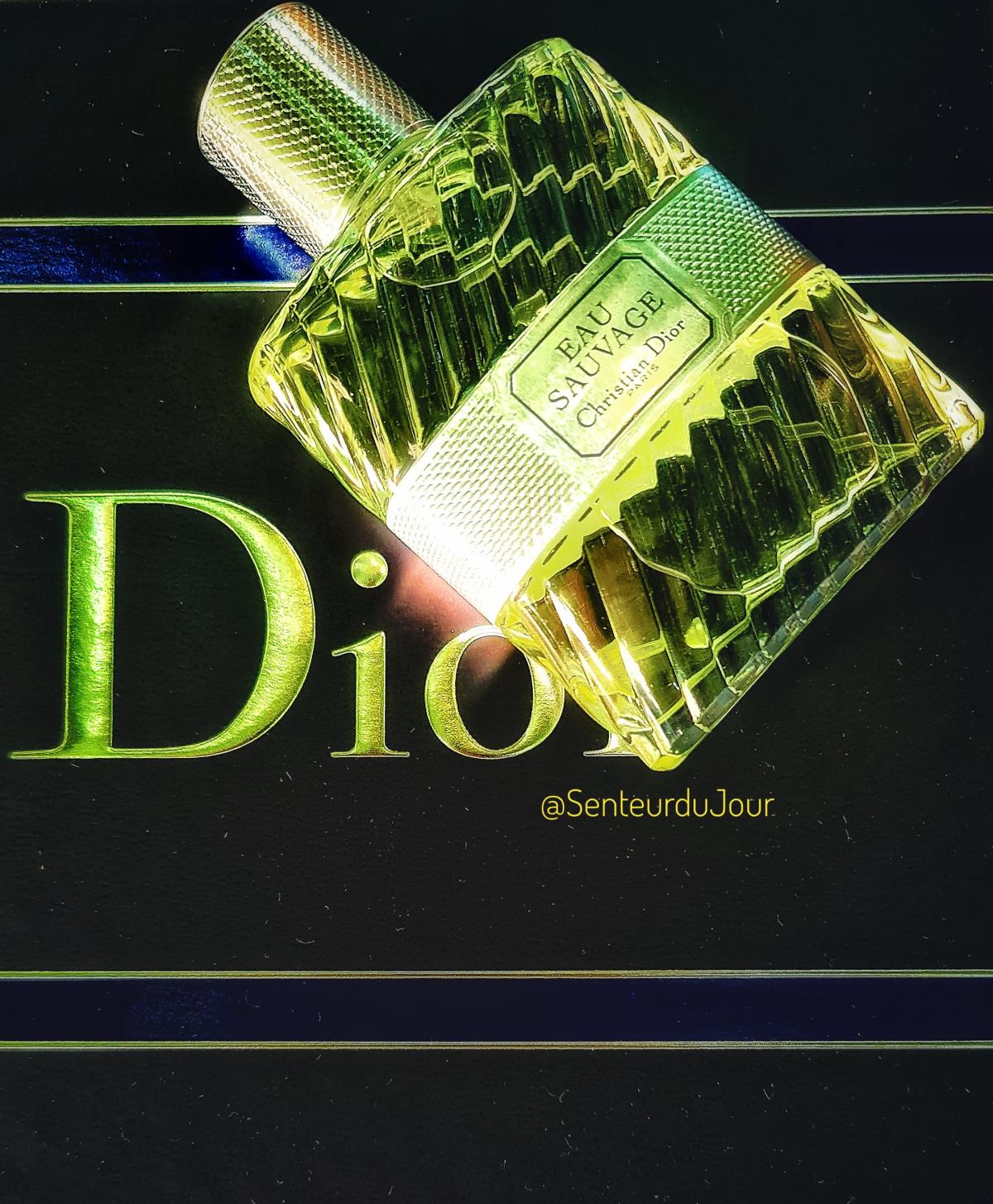 Eau Sauvage Dior cologne - a fragrance for men 1966