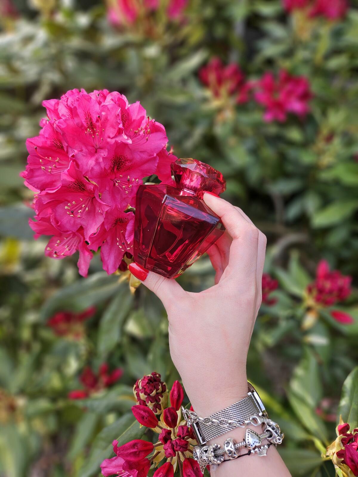 Luminous Eau de Parfum Bath & Body Works perfume - a fragrance for ...