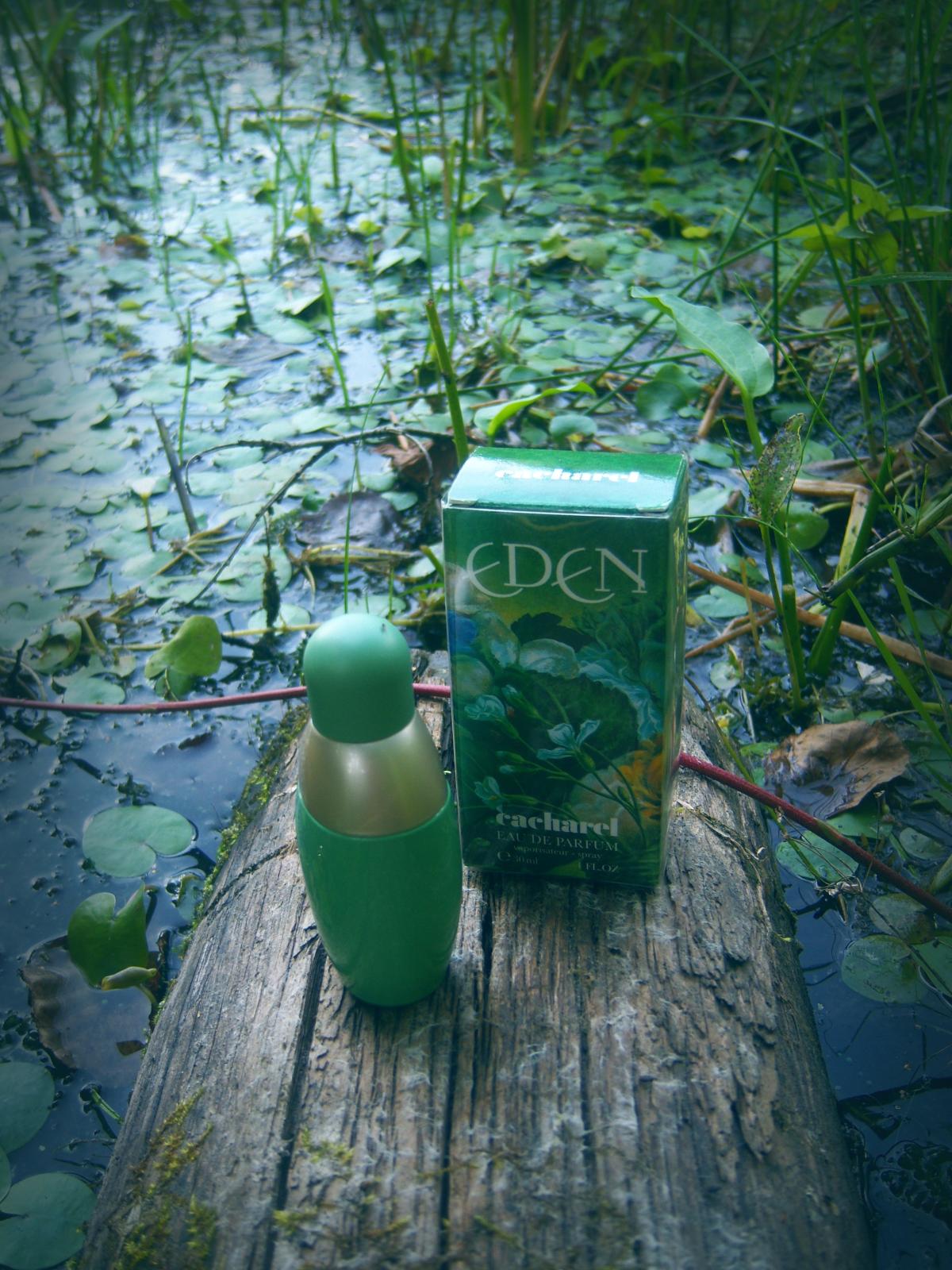 Eden Cacharel perfume - a fragrance for women 1994