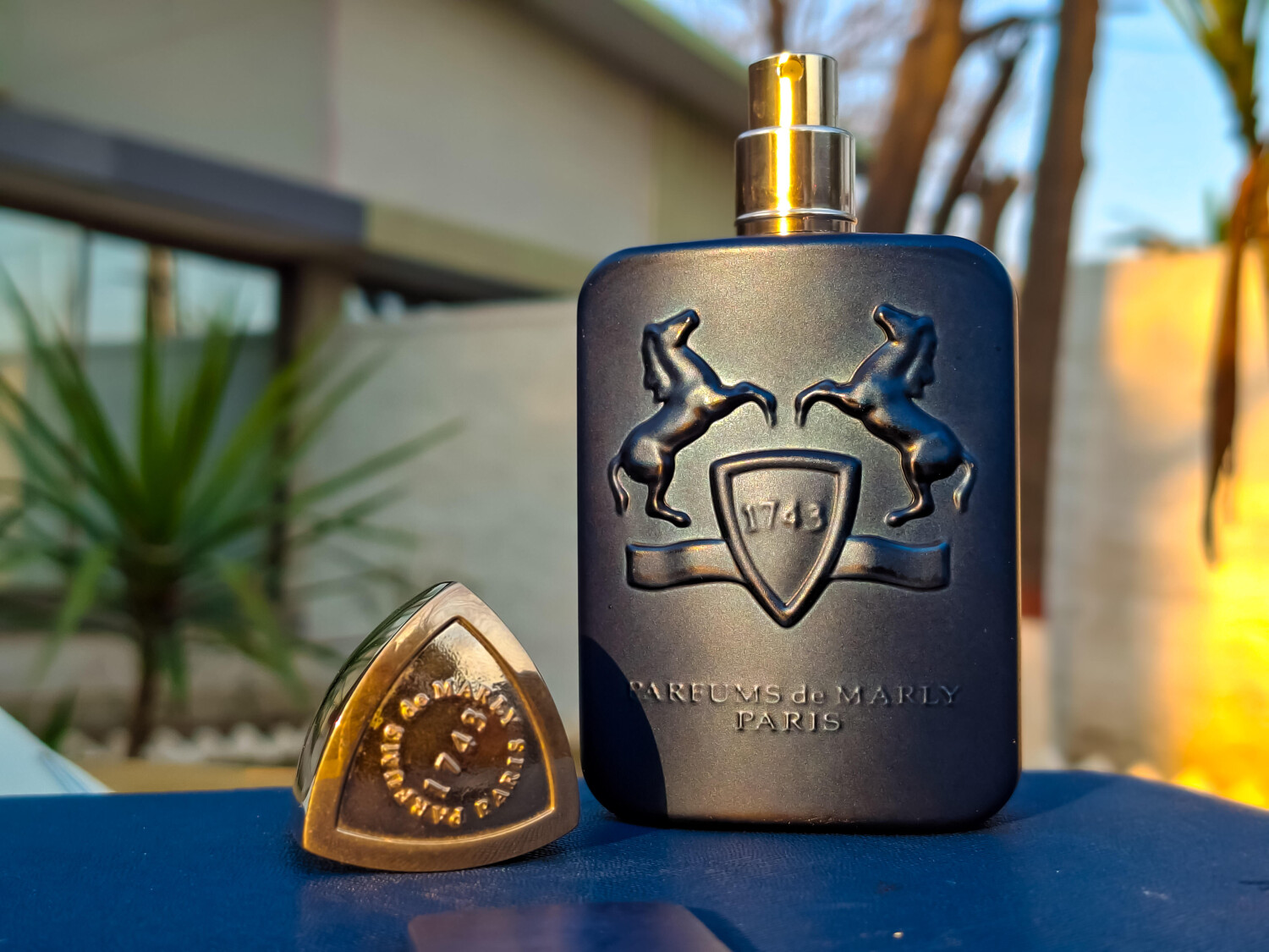 Layton Parfums de Marly аромат — аромат для мужчин и женщин 2016