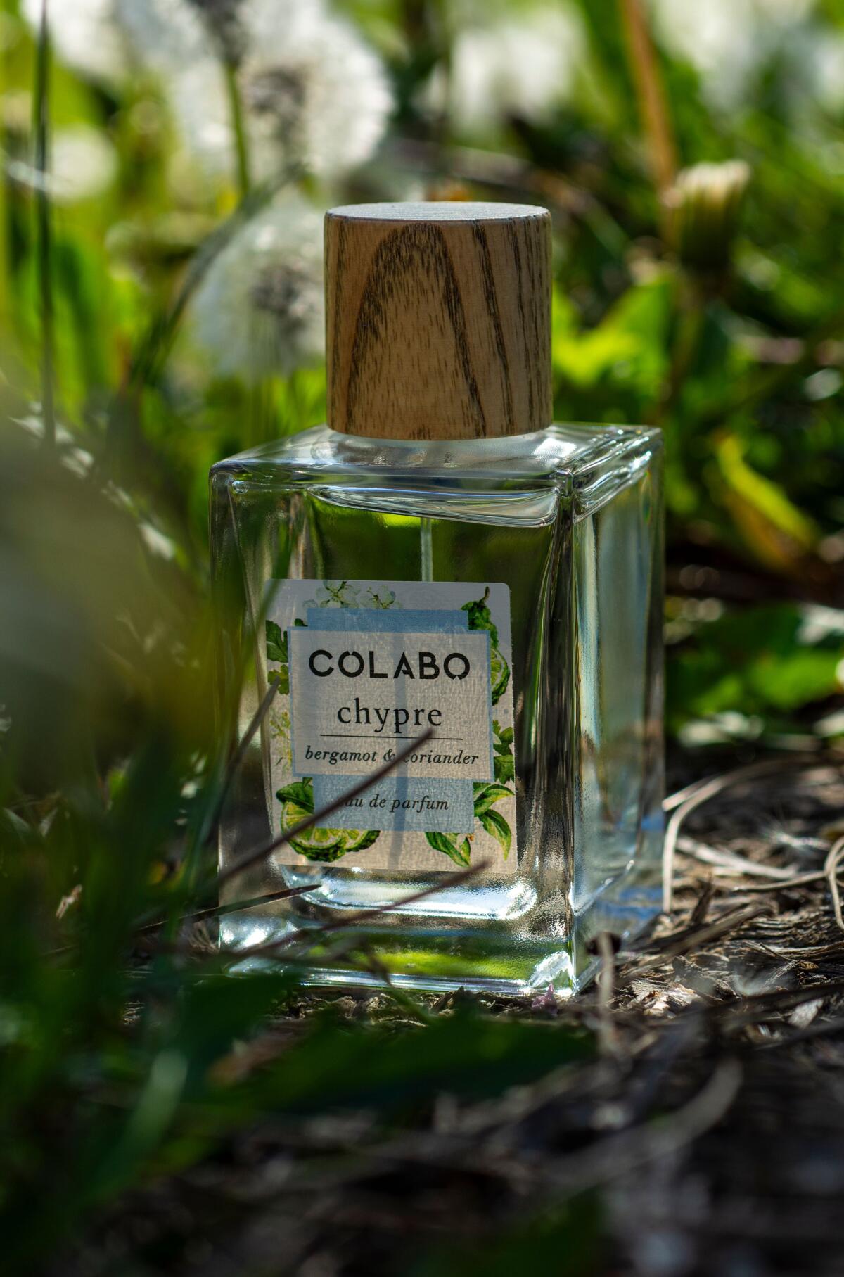 Chypre Bergamot & Coriander COLABO perfume - a fragrance for women and ...
