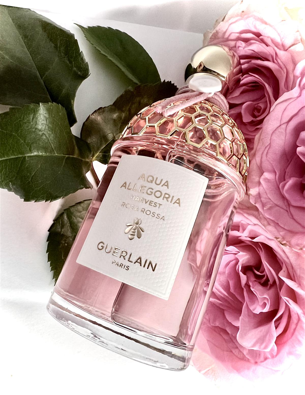 Rosa Rossa Harvest Guerlain perfume - a fragrância Compartilhável 2023